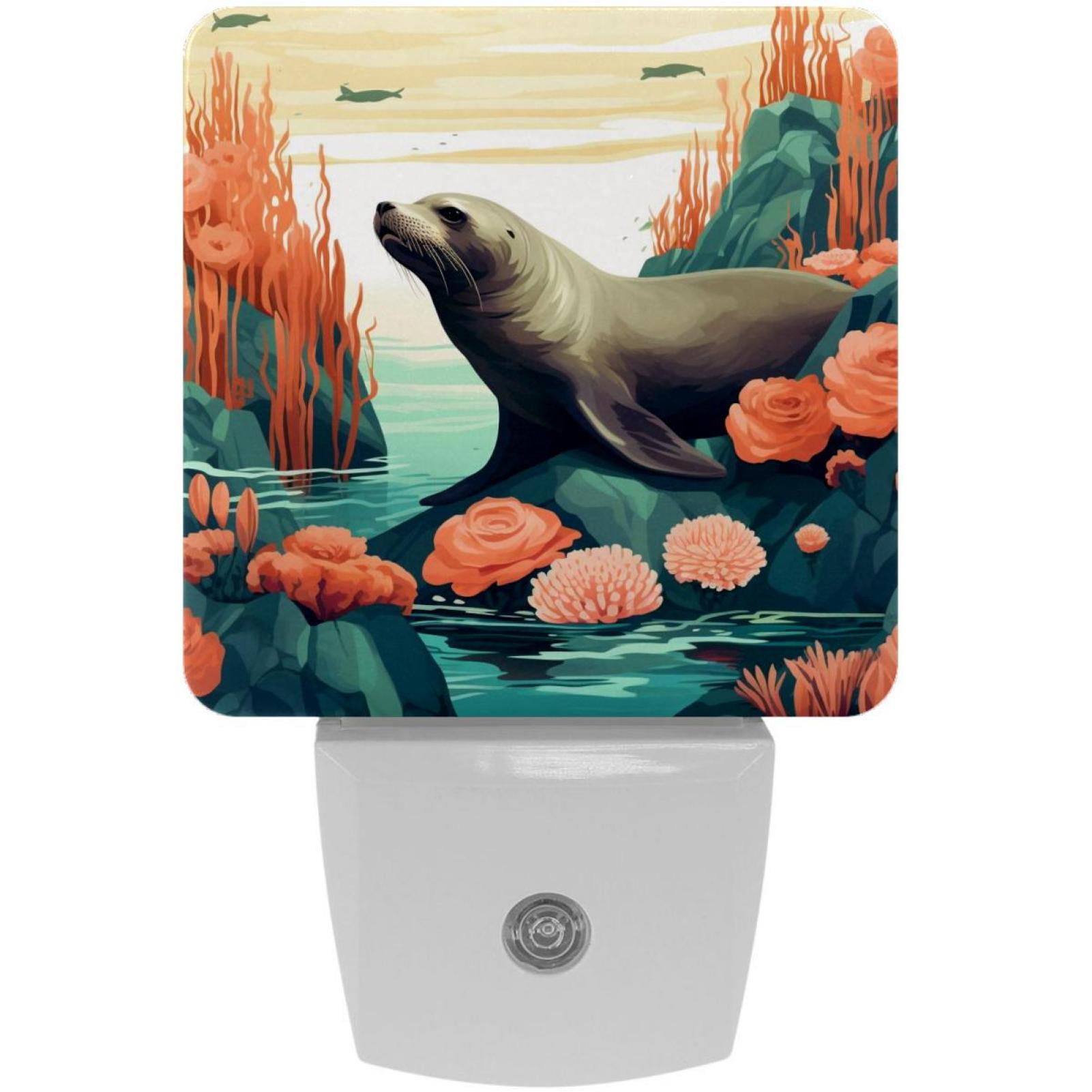 Sea lion LED Square Night Lights: Energy-Efficient and Stylish ...