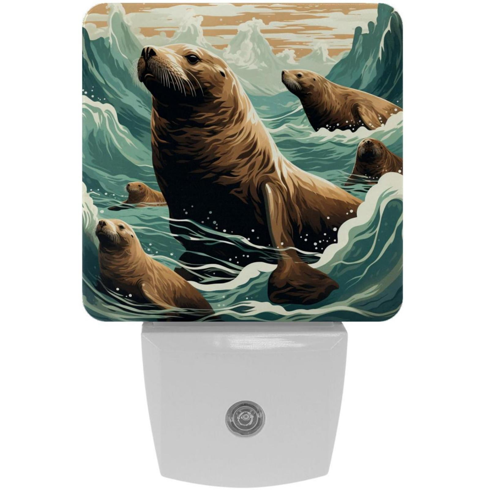Sea lion LED Square Night Lights: Energy-Efficient and Stylish ...