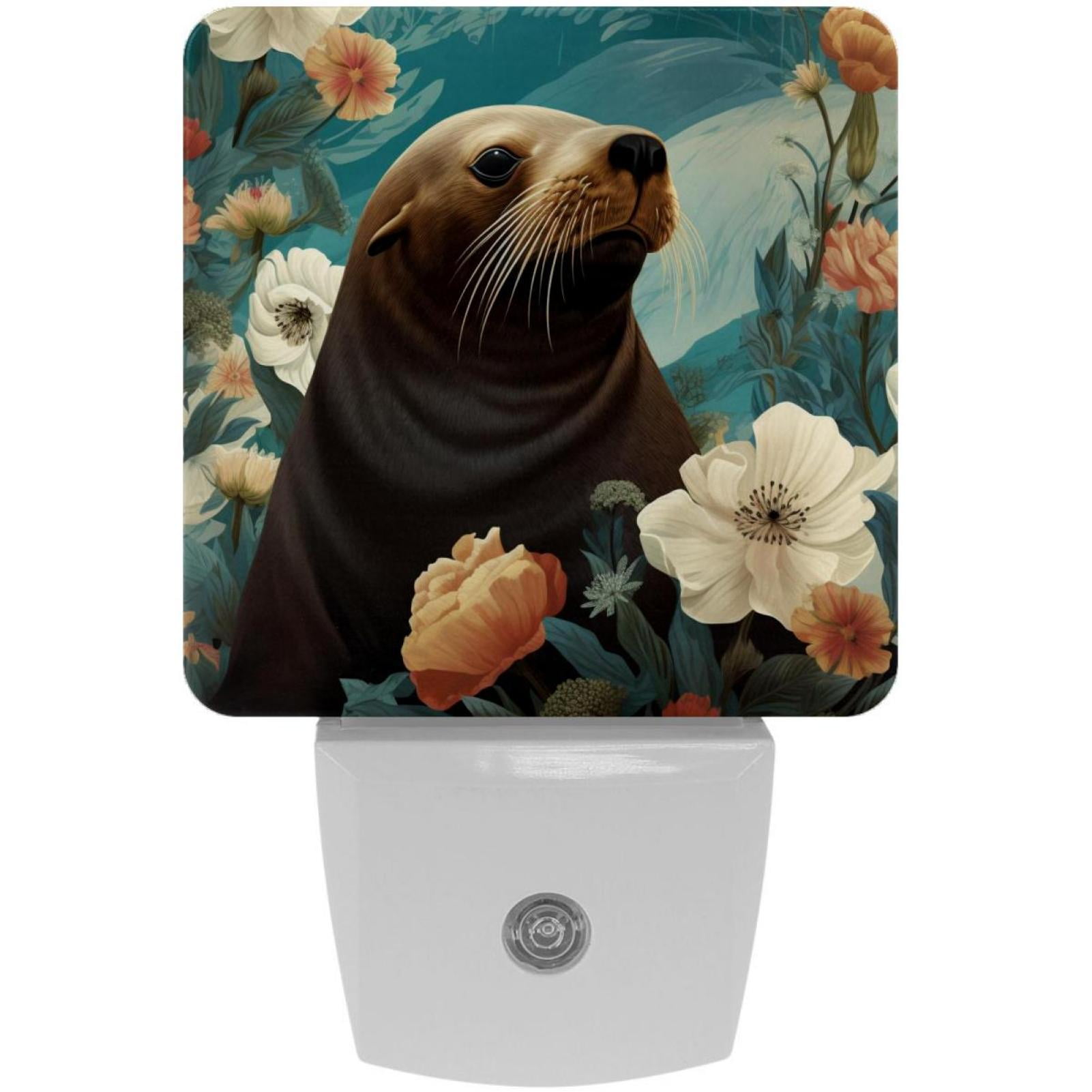 Sea lion LED Square Night Lights: Energy-Efficient and Stylish ...