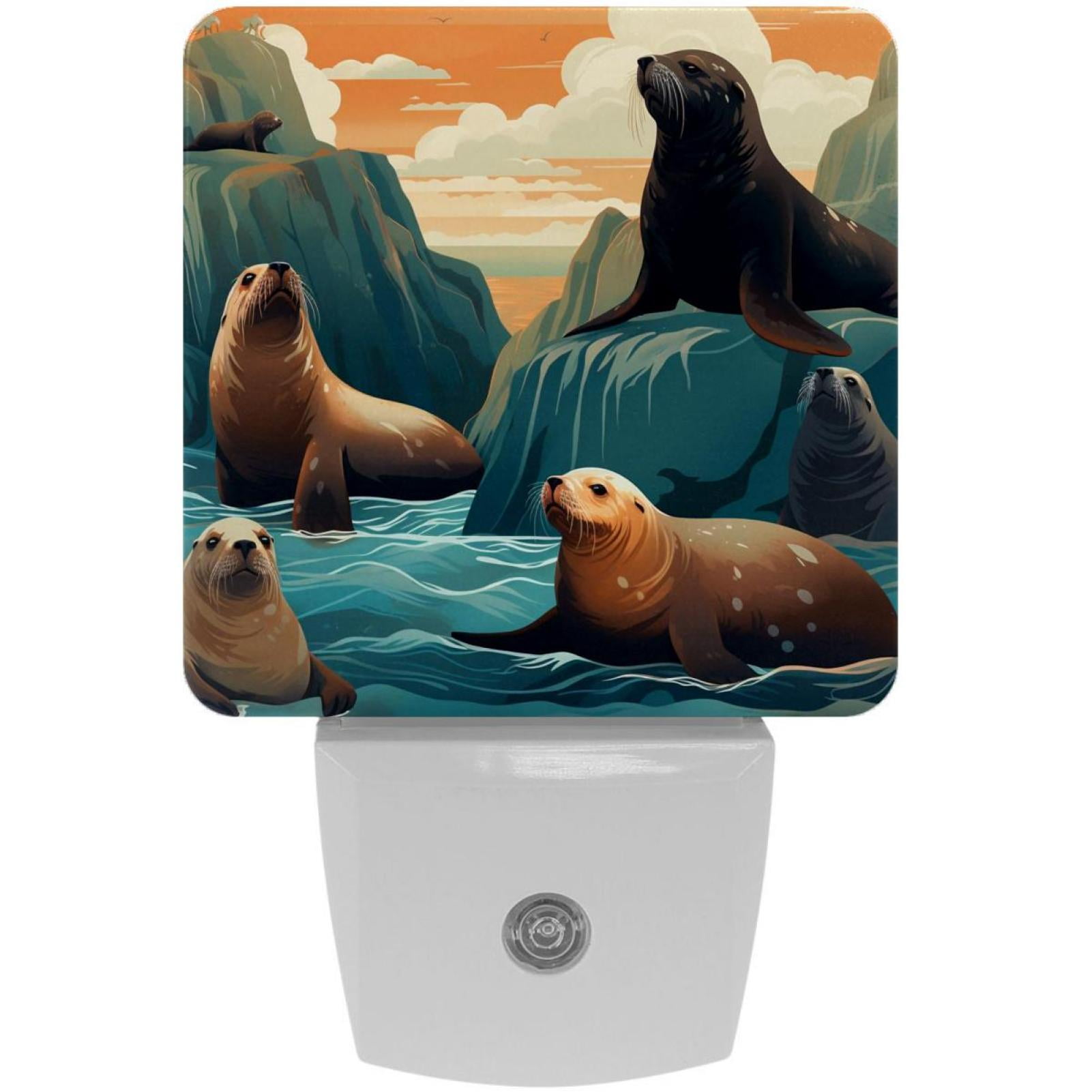 Sea lion LED Square Night Lights- Energy Efficient and Stylish ...