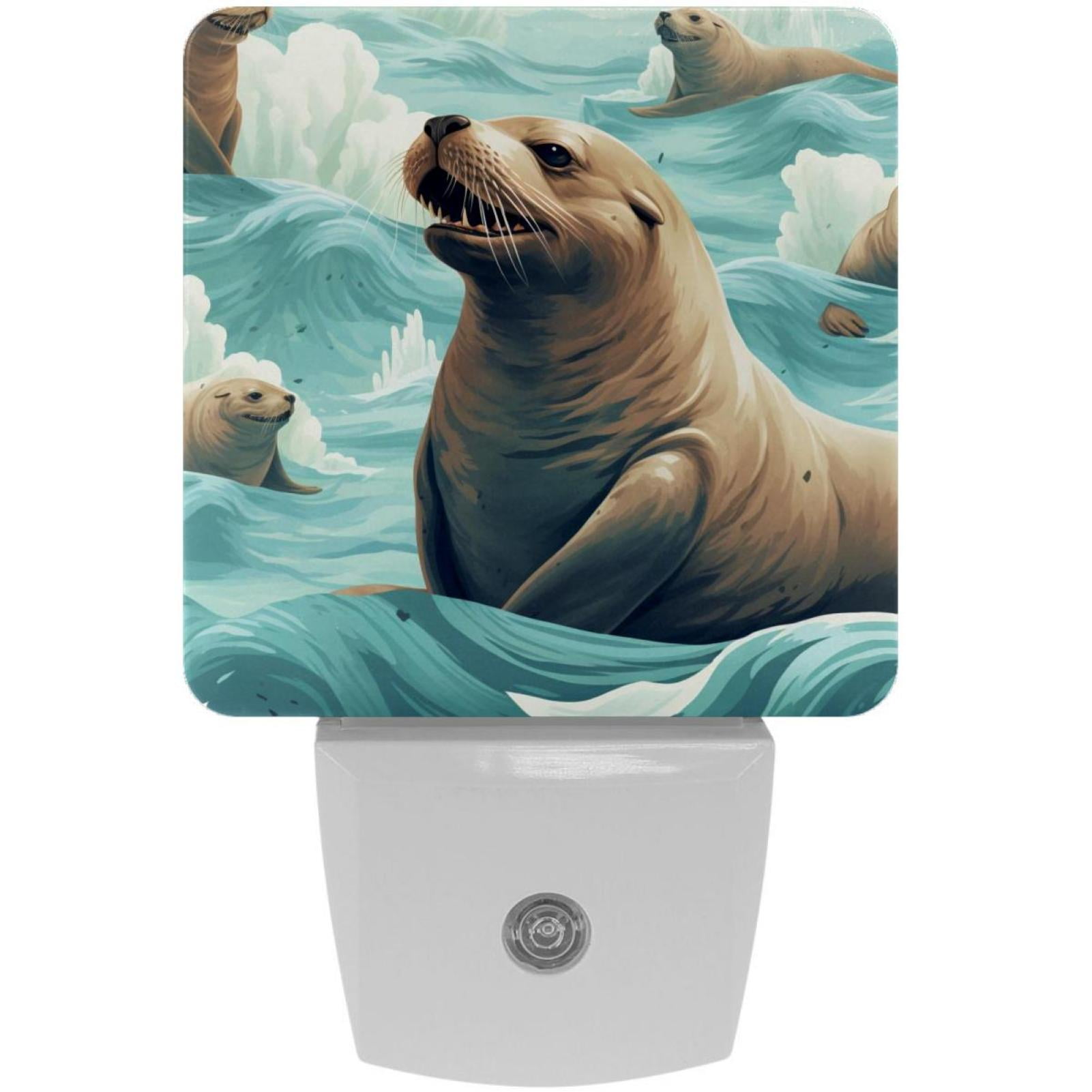 Sea lion LED Square Night Lights- Energy Efficient and Stylish ...