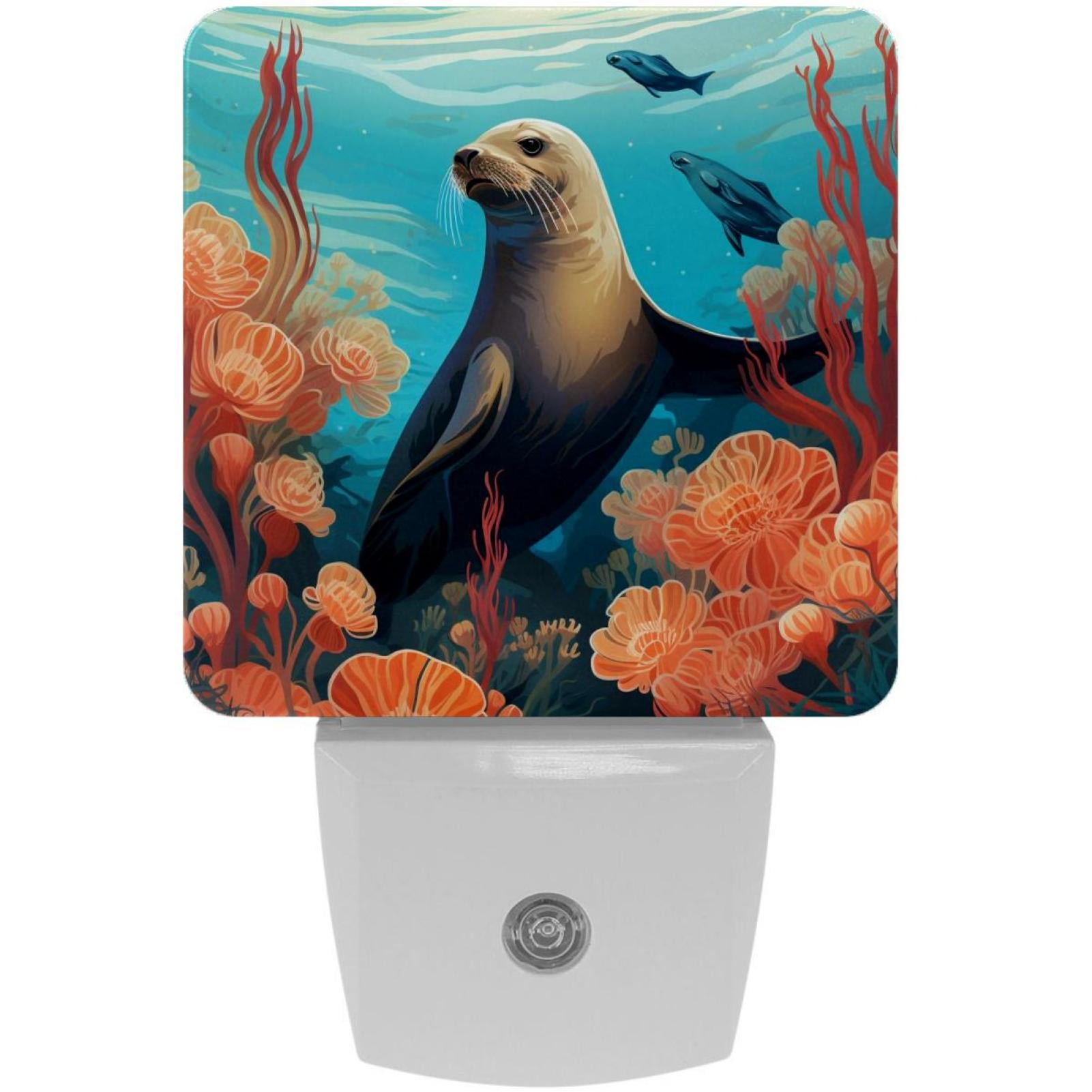 Sea lion LED Square Night Lights: Innovative Illumination for a ...
