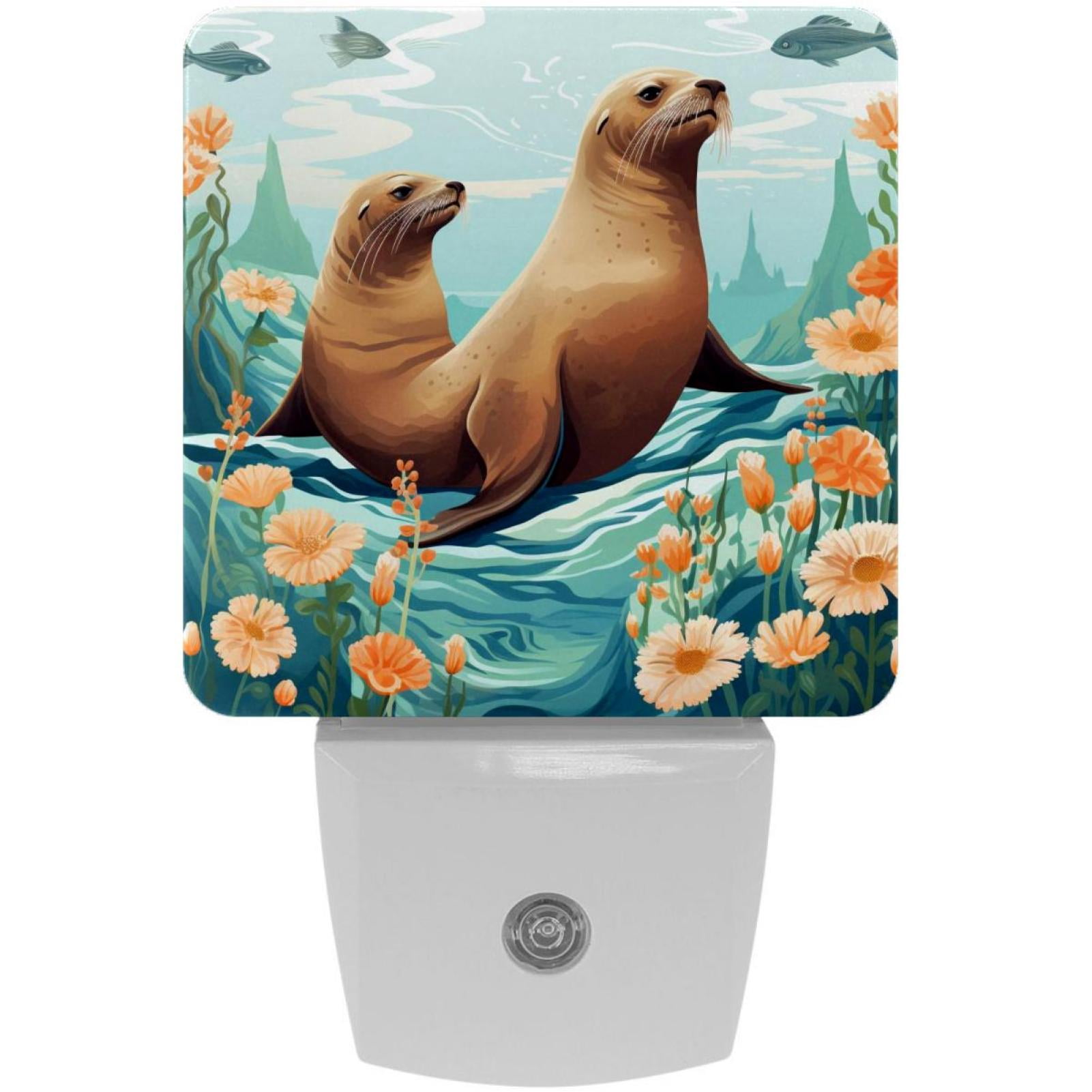 Sea lion LED Square Night Lights - Modern Design, Energy Efficient ...