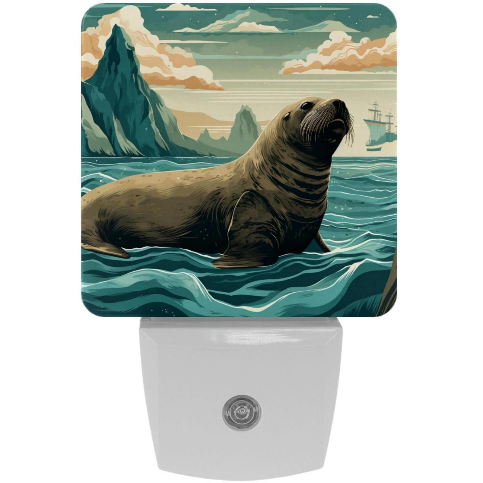 Sea lion LED Square Night Lights - Stylish and Energy-Efficient ...