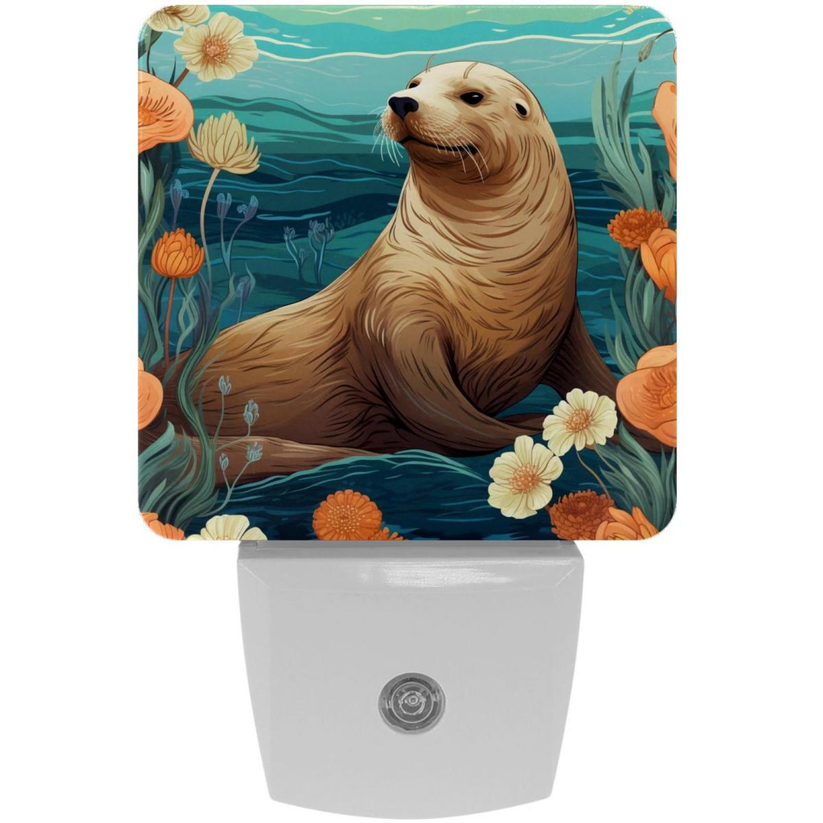 Sea lion LED Square Night Lights - Stylish and Energy-Efficient ...