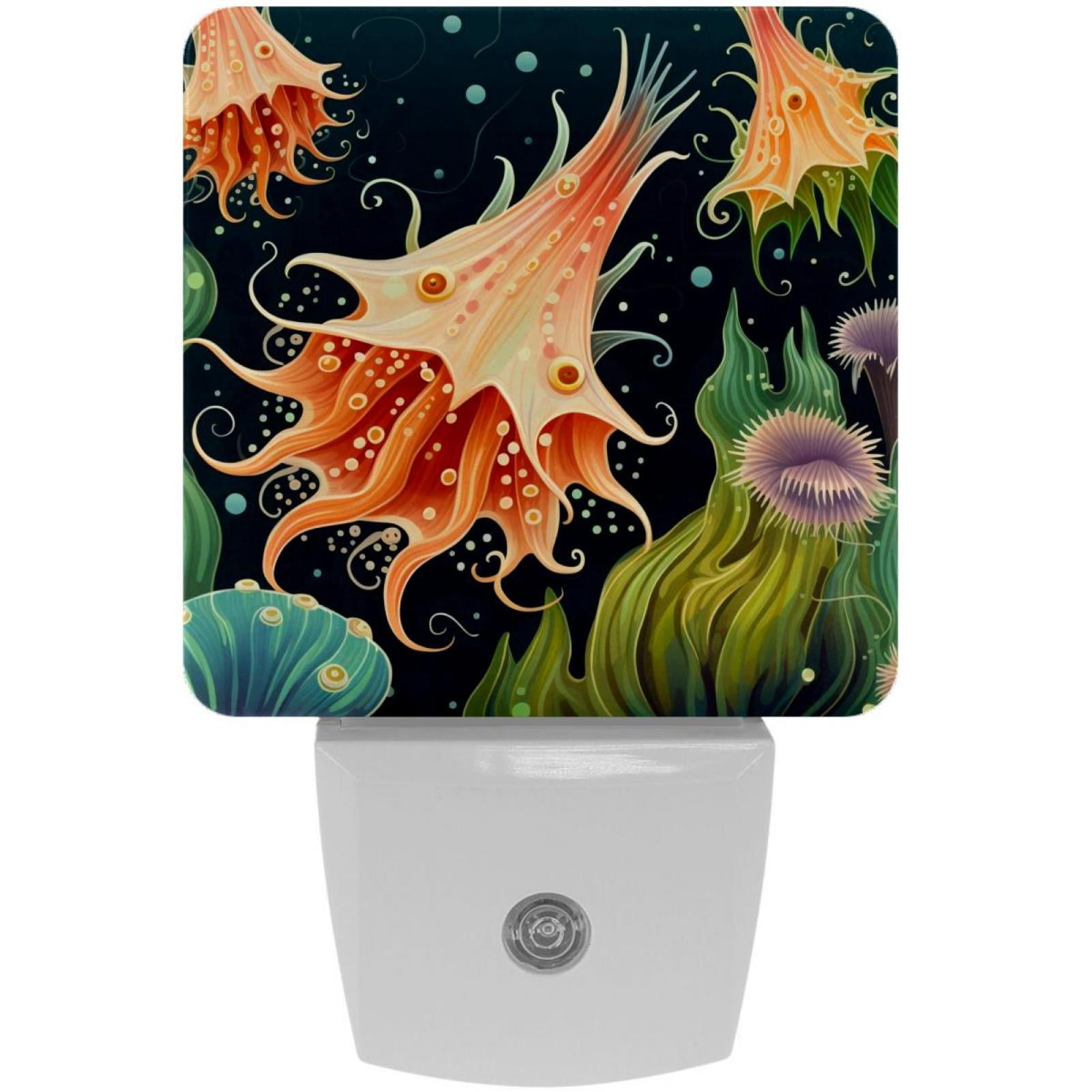 Sea slugs LED Square Night Light - Energy Efficient and Stylish ...