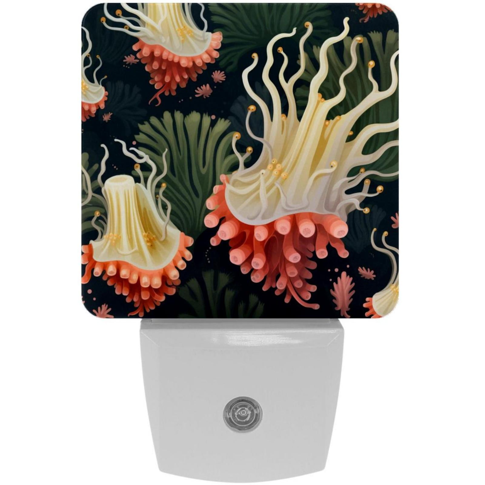 Sea slugs LED Square Night Lights - Bedside Lighting Solution for a ...