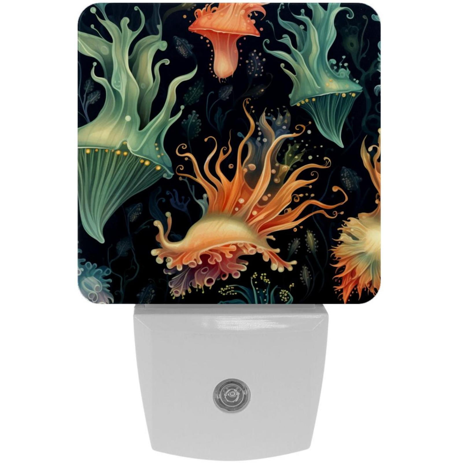 Sea slugs LED Square Night Lights - Bright and Compact Bedroom or ...