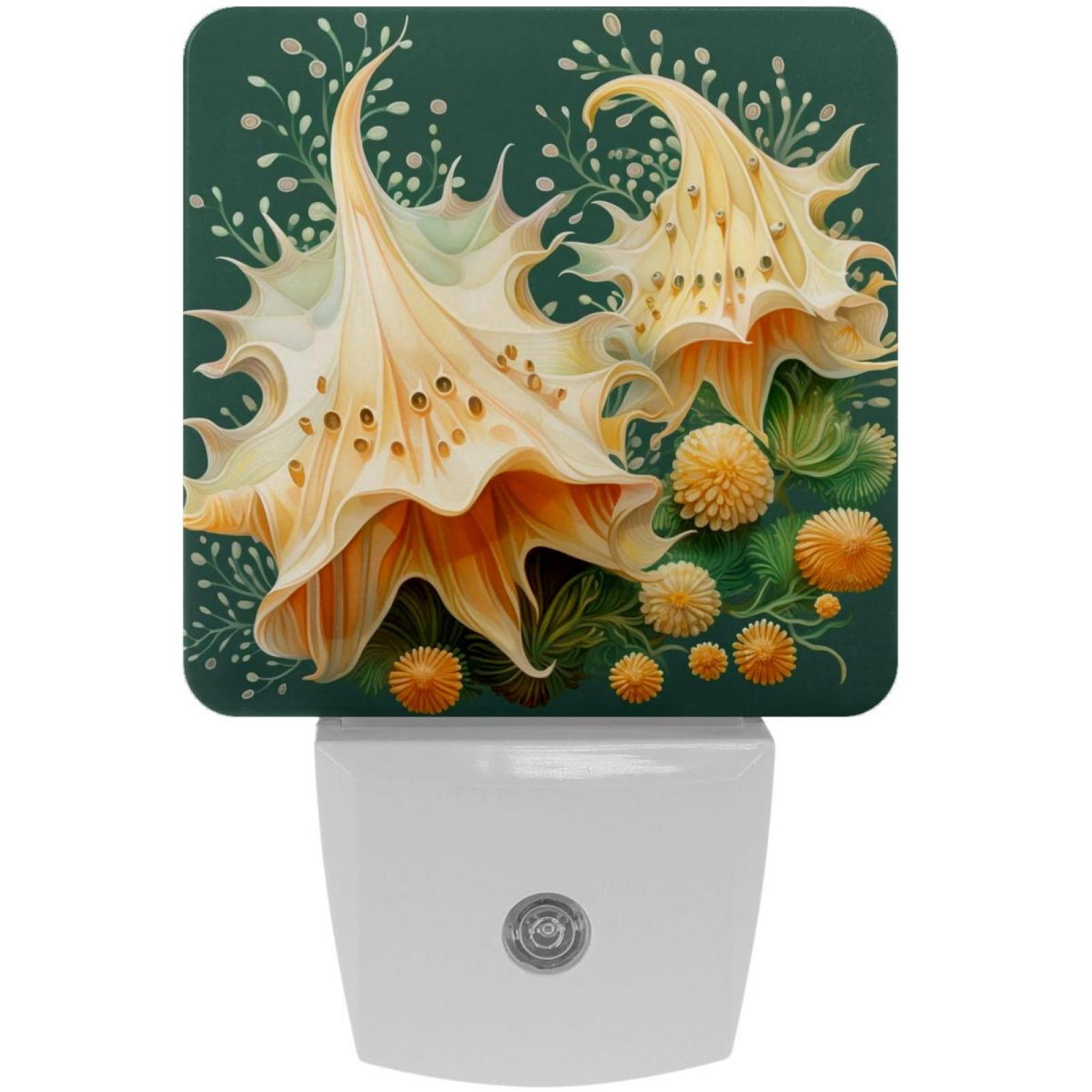 Sea slugs LED Square Night Lights - Energy Efficient and Stylish ...