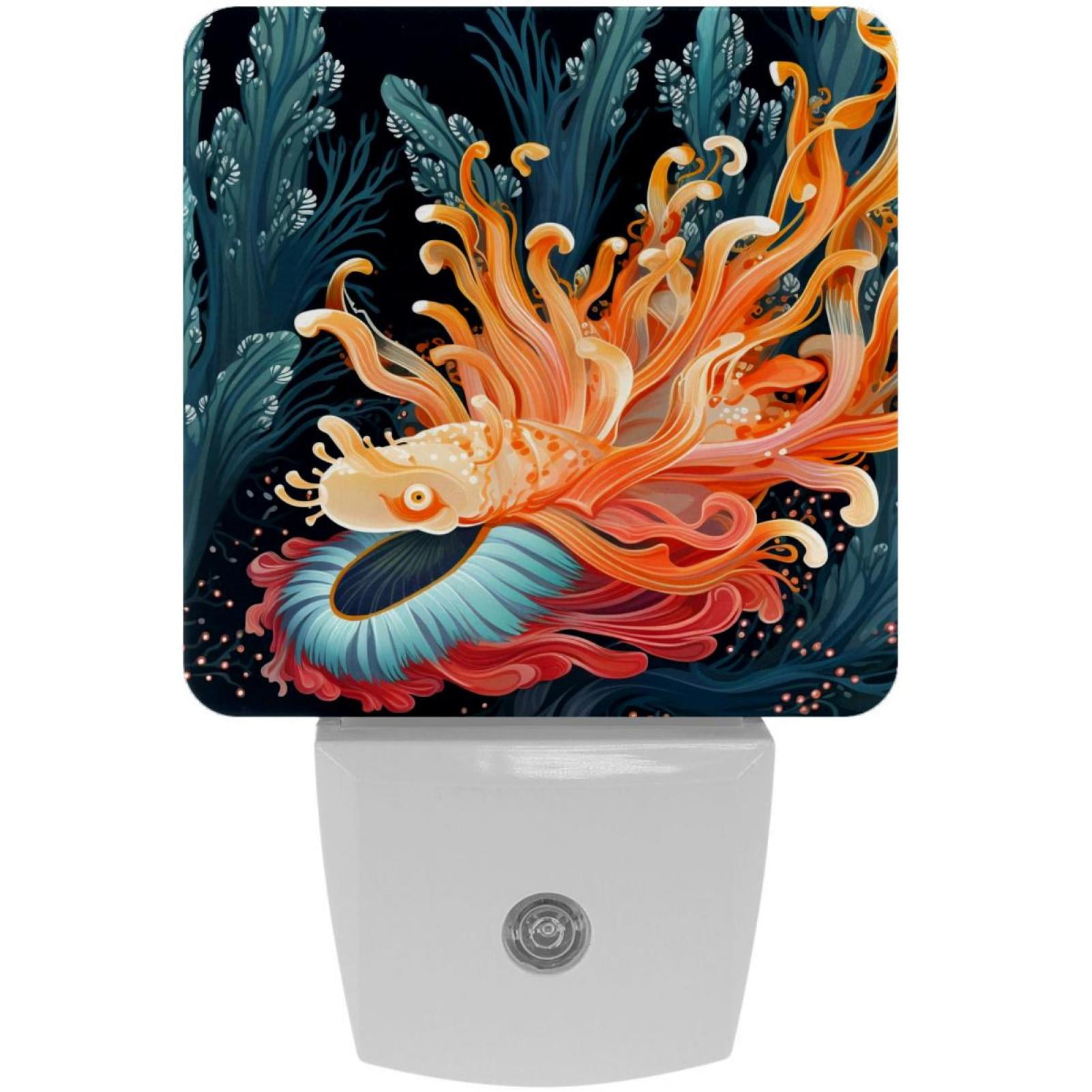 Sea slugs LED Square Night Lights: Energy-Efficient and Stylish ...