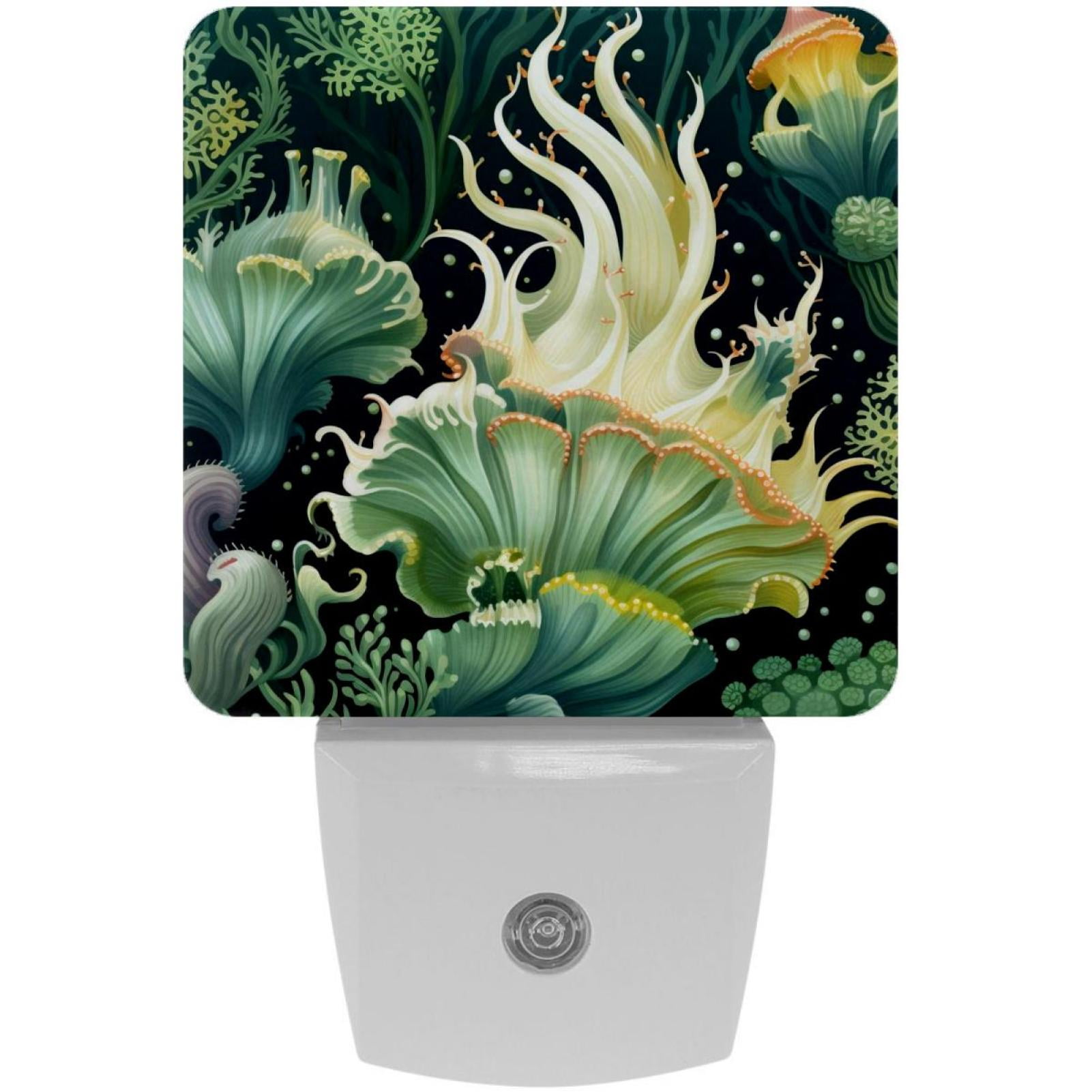 Sea slugs LED Square Night Lights: Energy-Efficient and Stylish ...