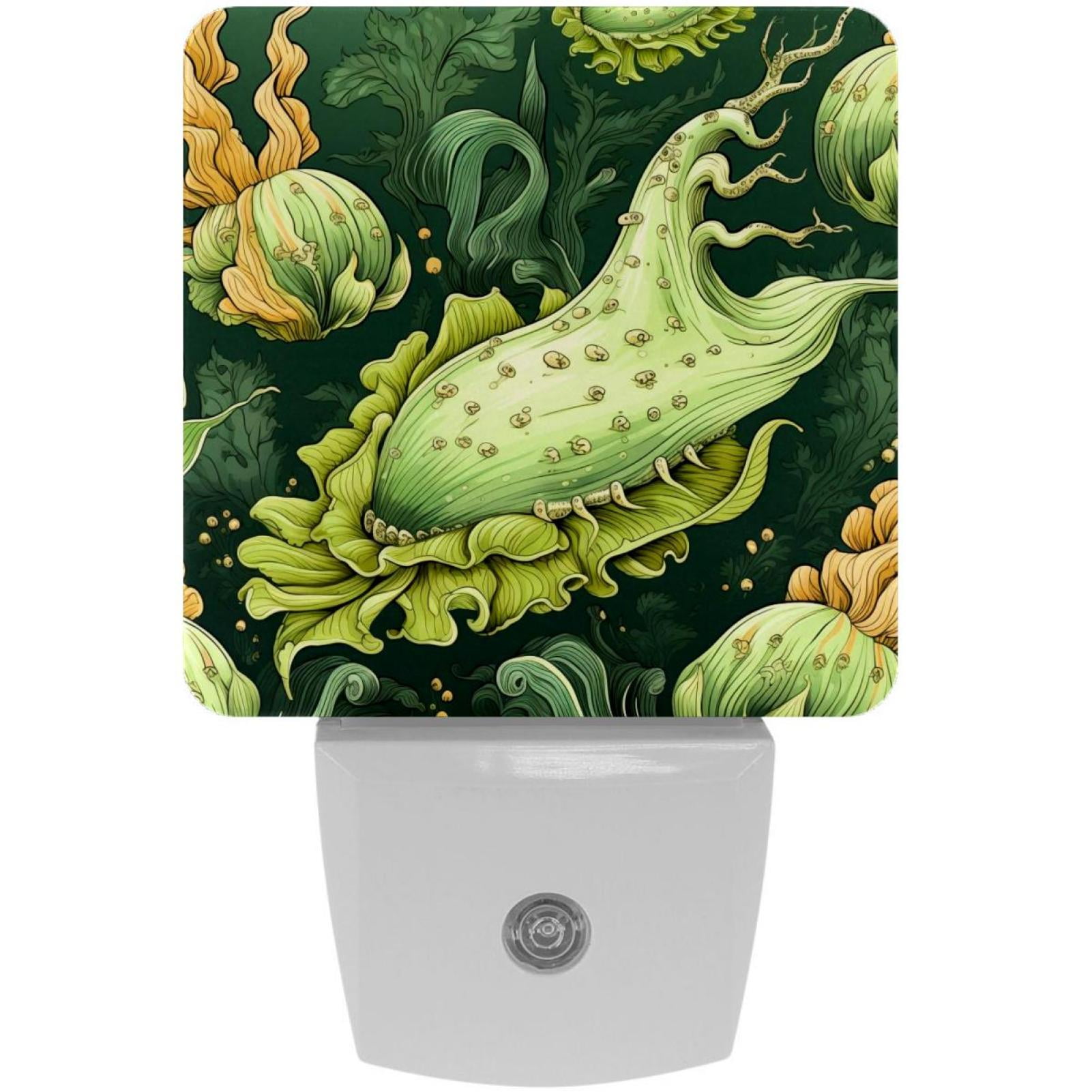 Sea slugs LED Square Night Lights - Energy Efficient and Stylish Room ...