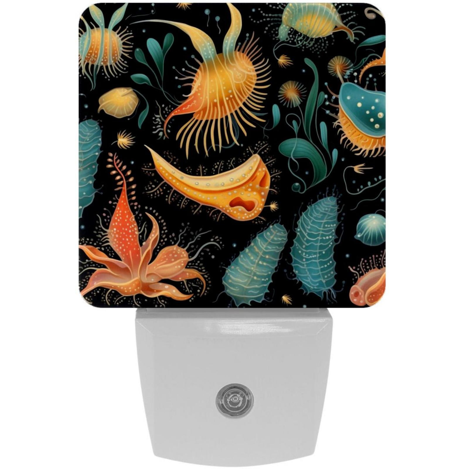 Sea slugs LED Square Night Lights - Modern and Versatile Plug-in ...