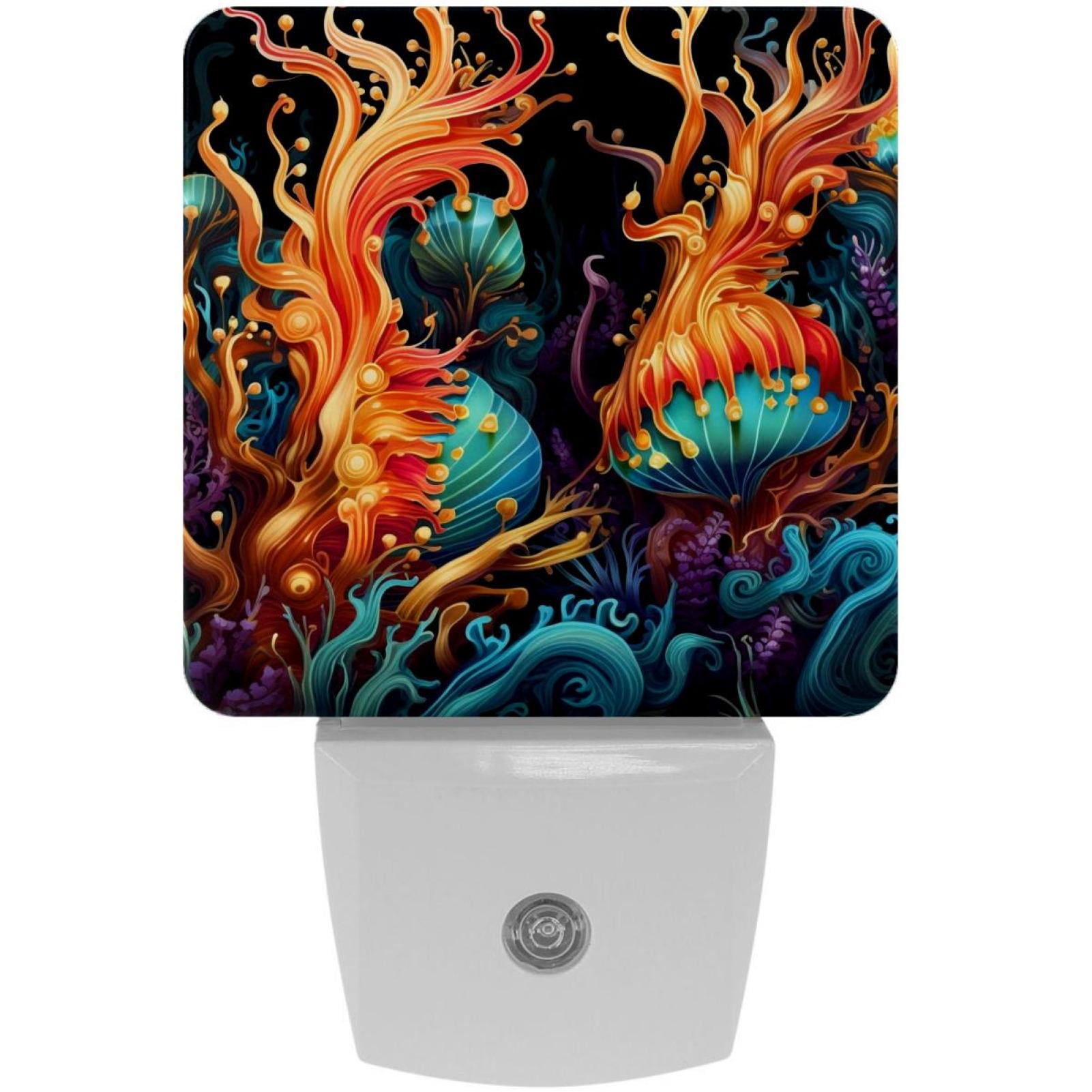 Sea slugs LED Square Night Lights - Small and Bright Illumination for ...