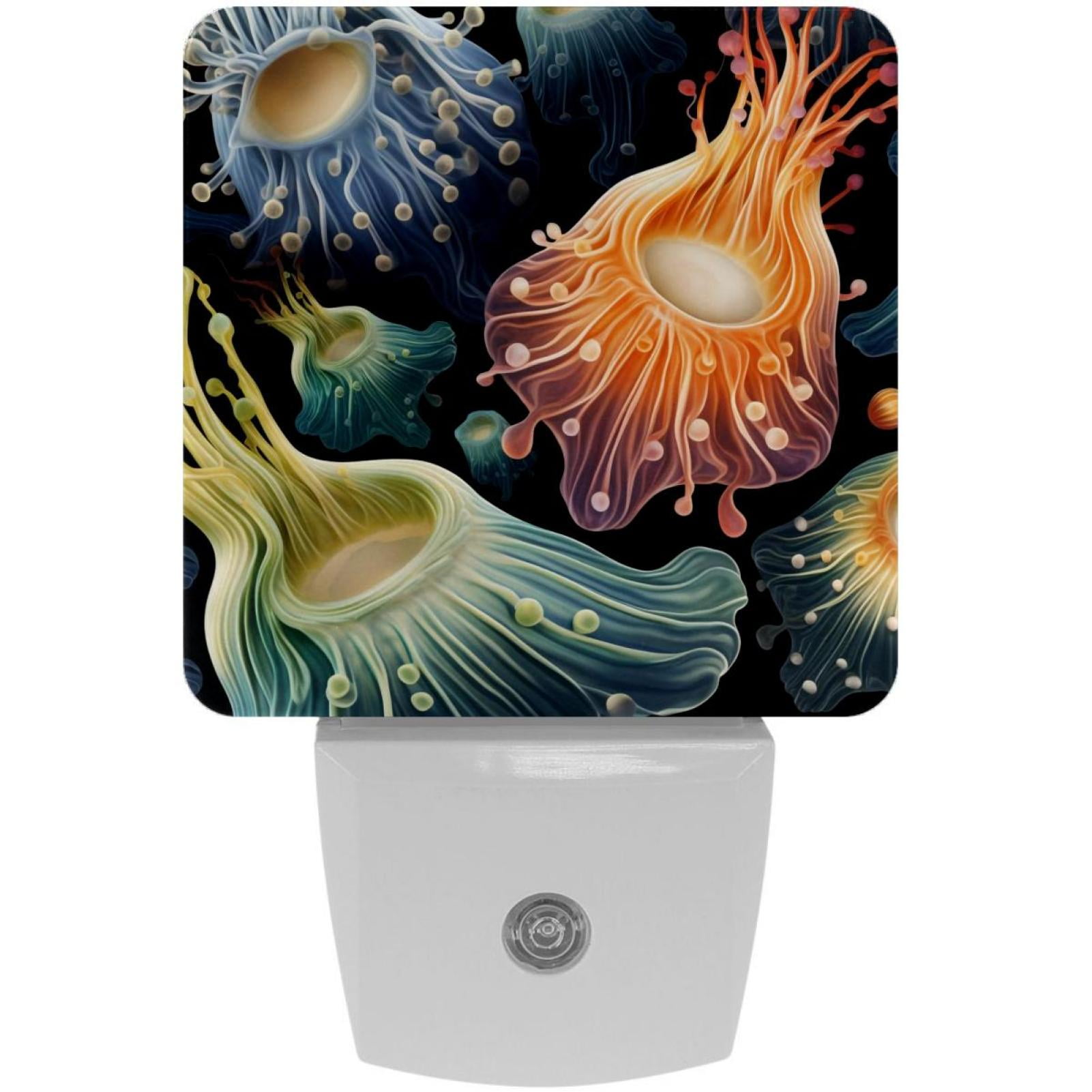 Sea slugs LED Square Night Lights - Small and Bright Illumination for ...