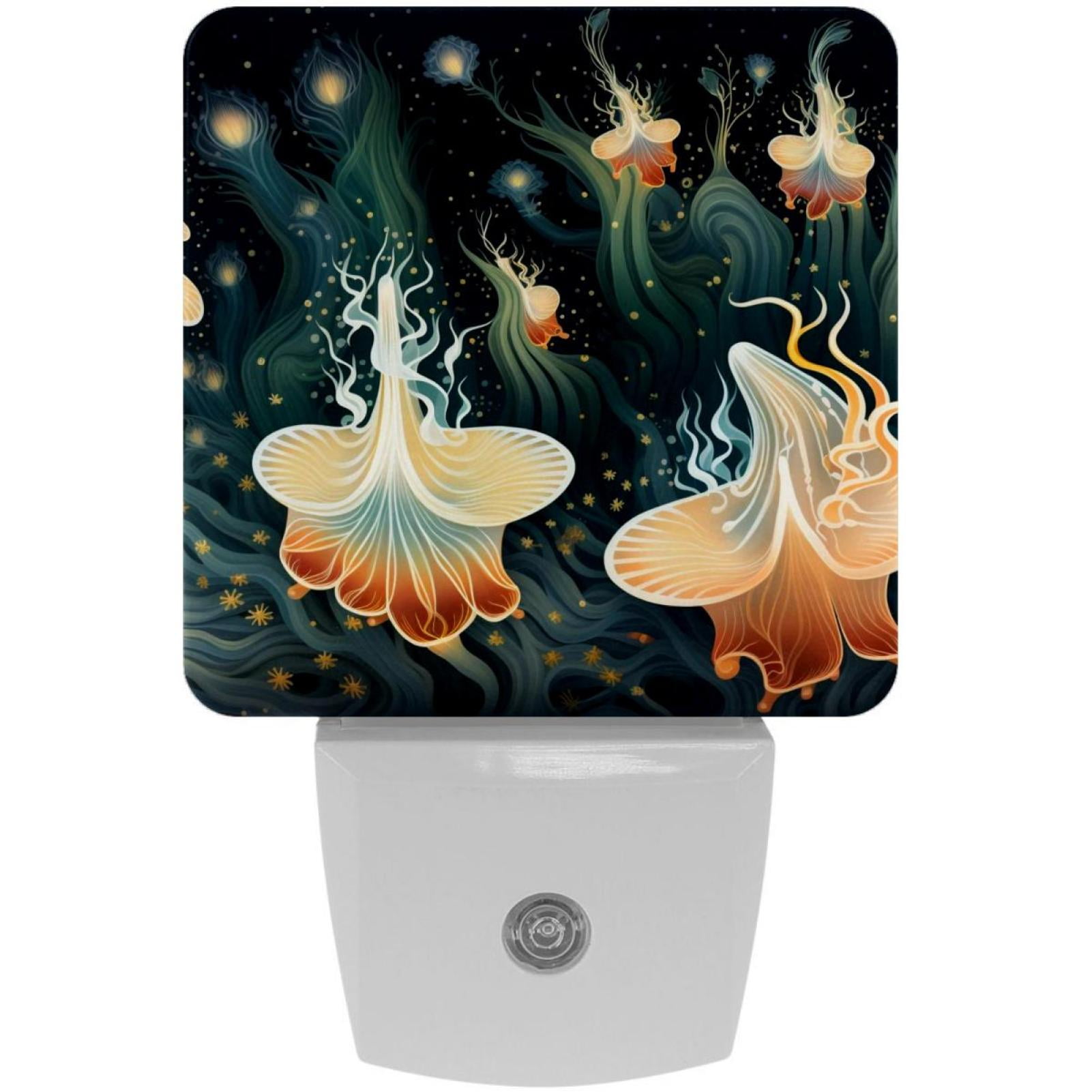 Sea slugs LED Square Night Lights - Stylish and Convenient Illumination ...