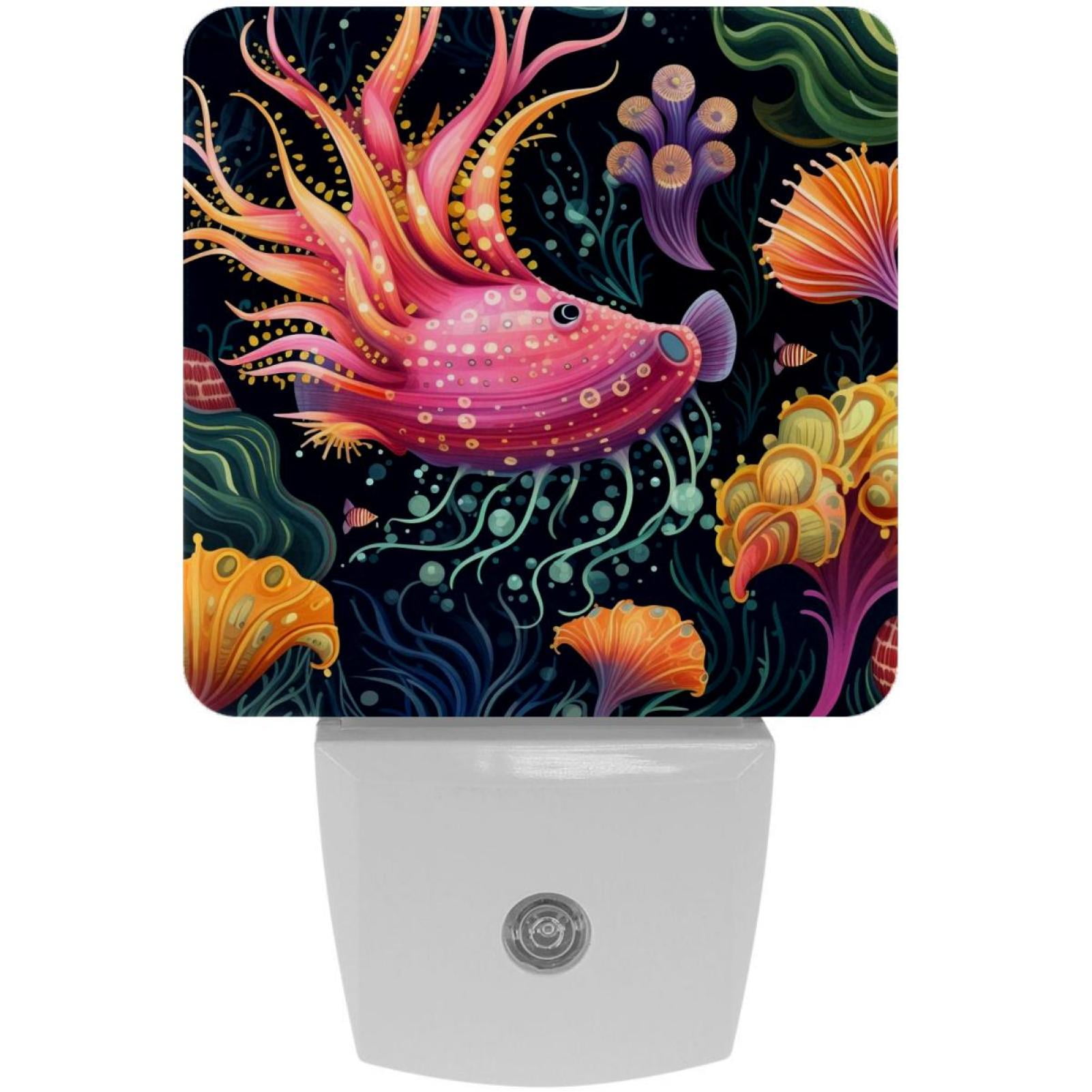 Sea slugs LED Square Night Lights - Stylish and Convenient Illumination ...