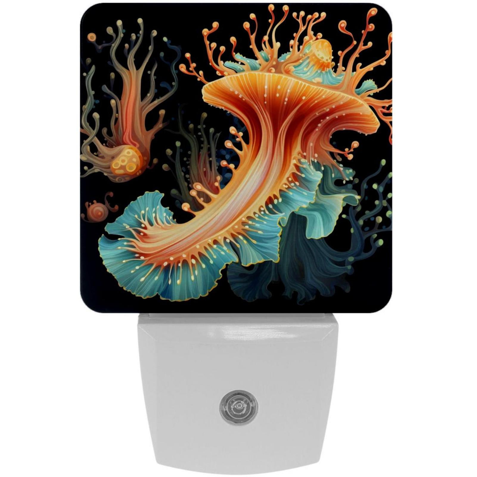 Sea slugs LED Square Night Lights - Stylish and Energy-Efficient Room ...