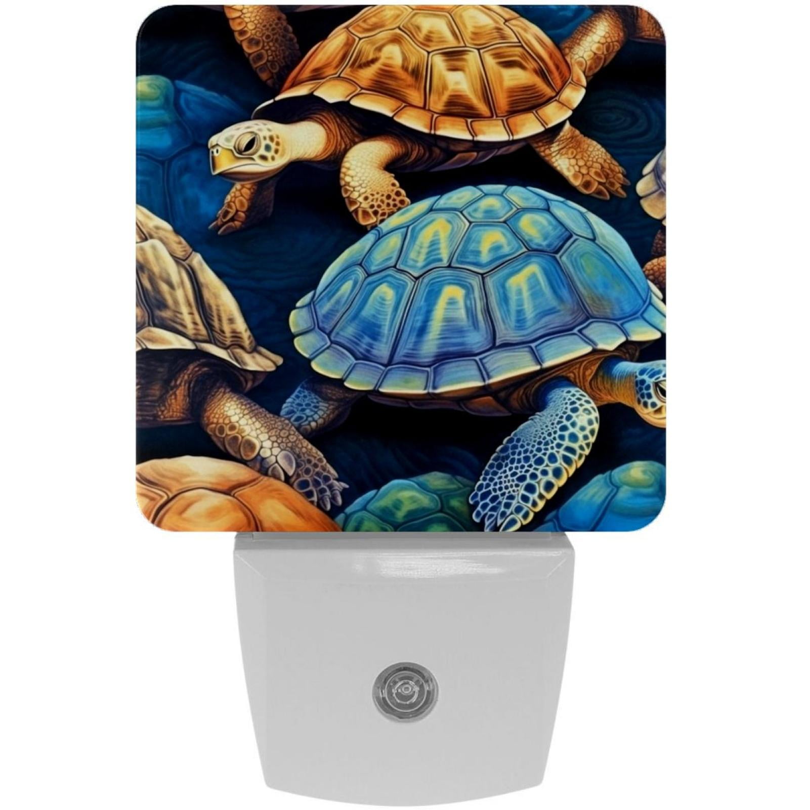 Sea turtle LED Square Night Light - Energy Efficient and Stylish ...