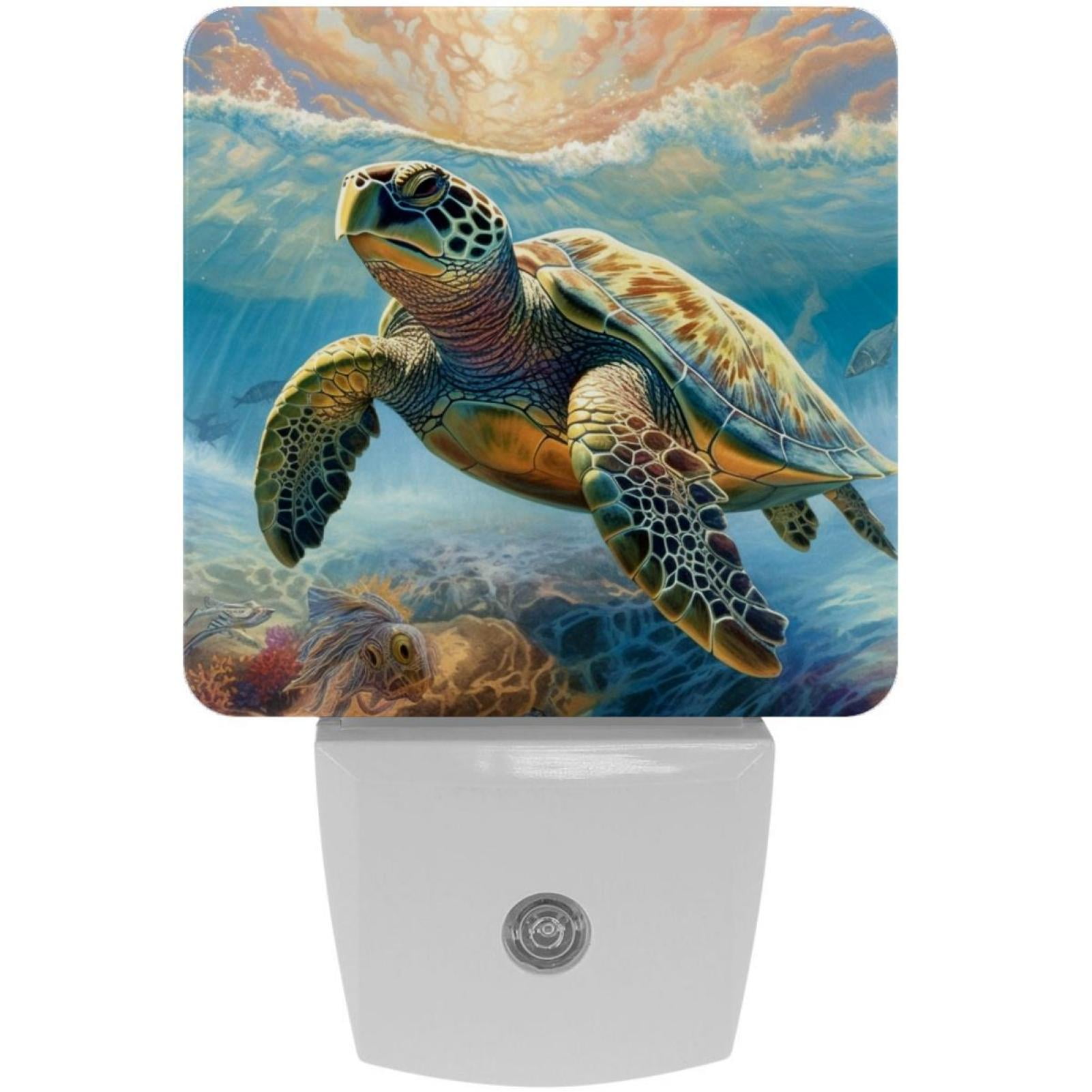 Sea turtle LED Square Night Light - Energy Efficient and Stylish ...