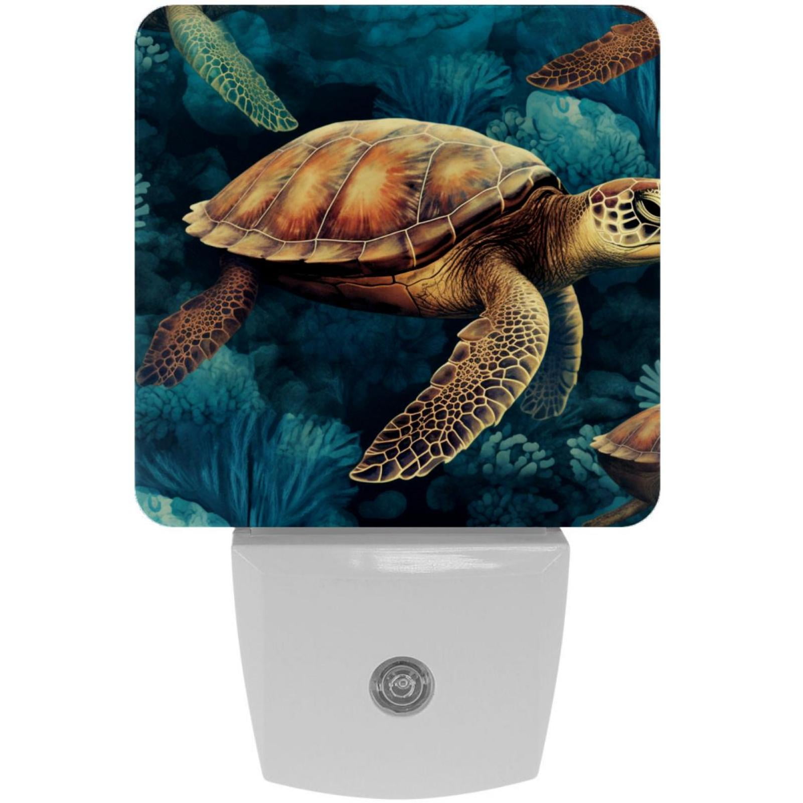 Sea turtle LED Square Night Light - Energy Efficient and Stylish ...