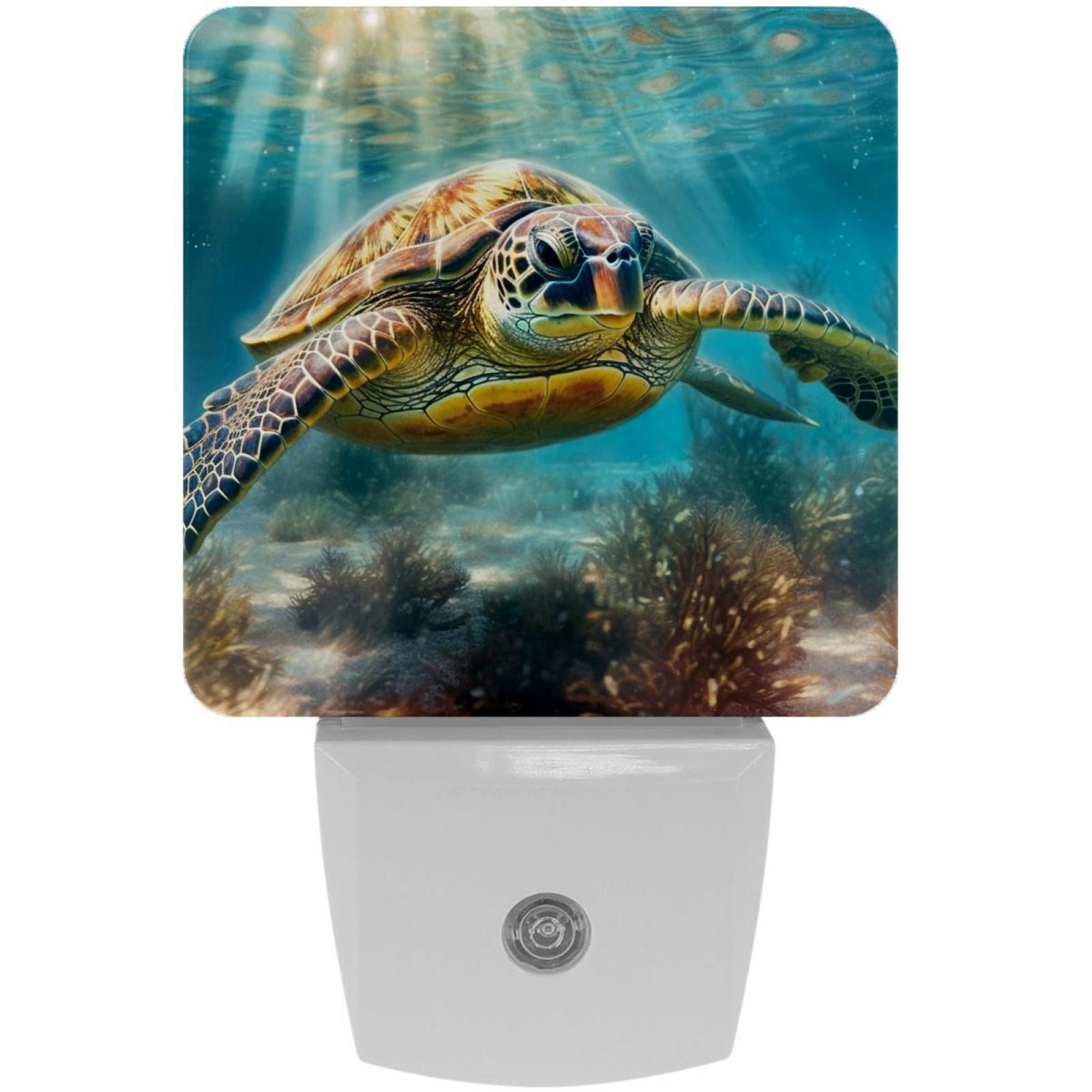 Sea turtle LED Square Night Lights - Bright and Compact Bedroom or ...