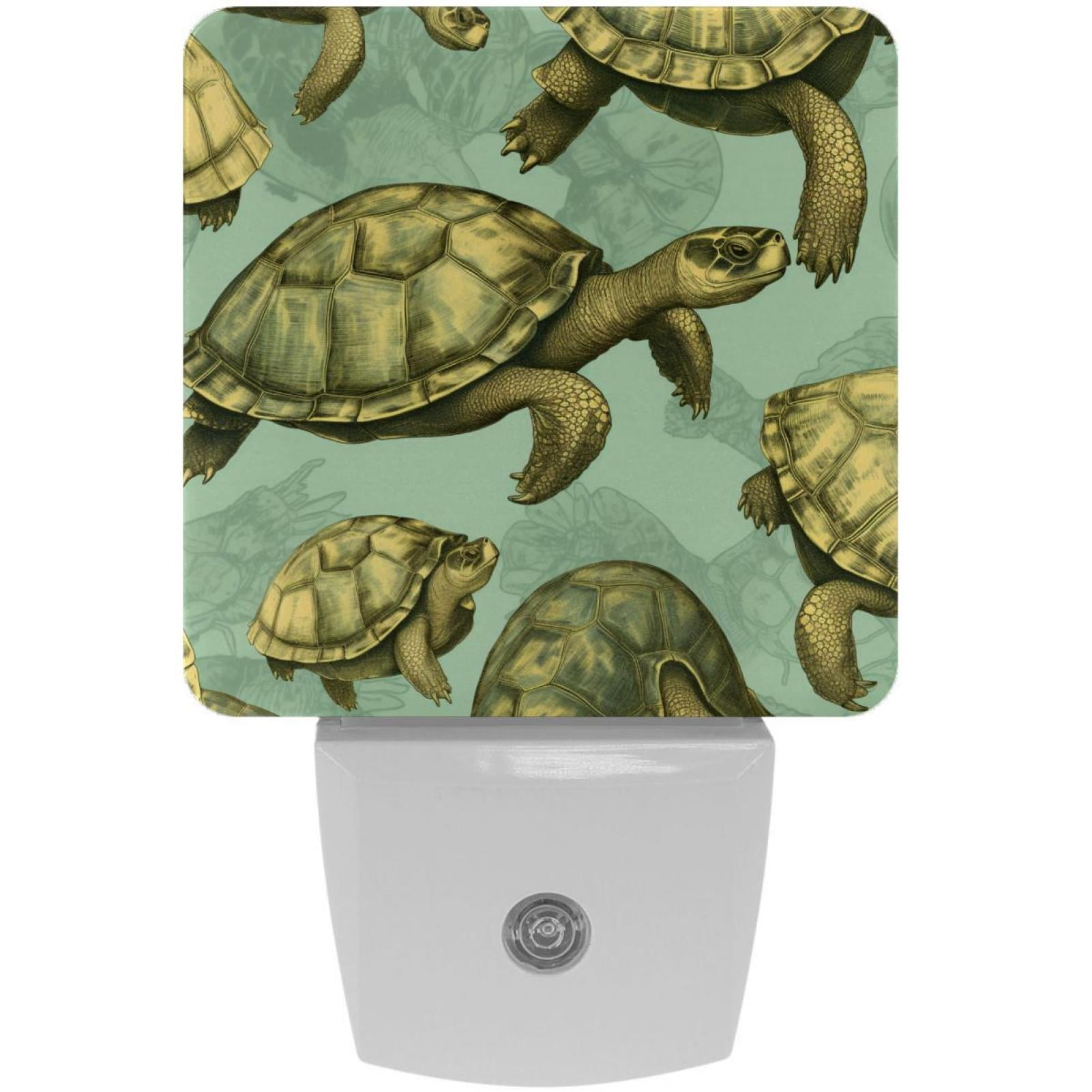 Sea turtle LED Square Night Lights - Bright and Compact Bedroom or ...