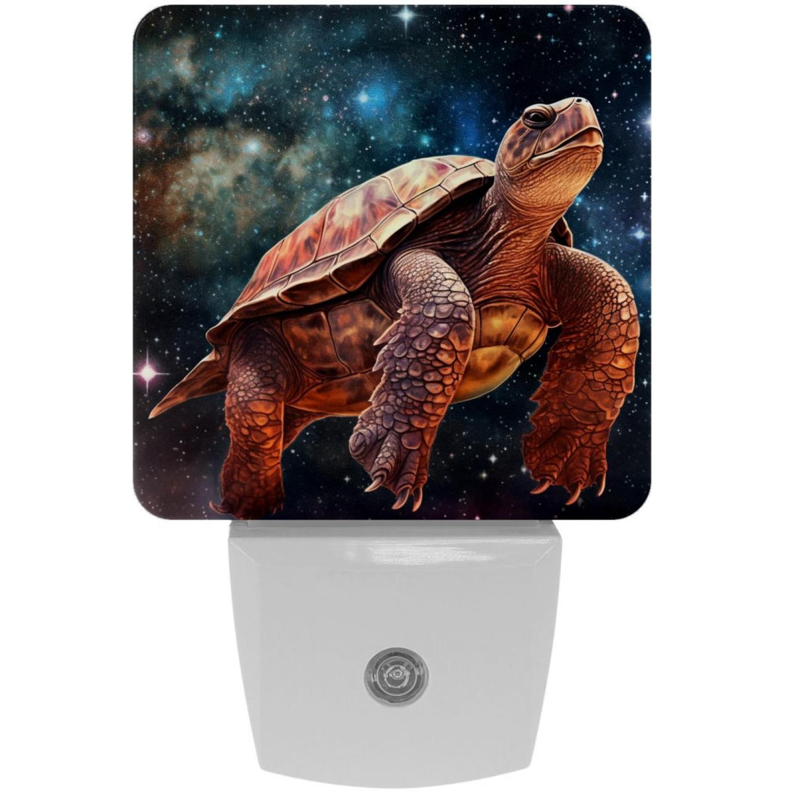 Sea turtle LED Square Night Lights: Compact and Energy-Efficient ...
