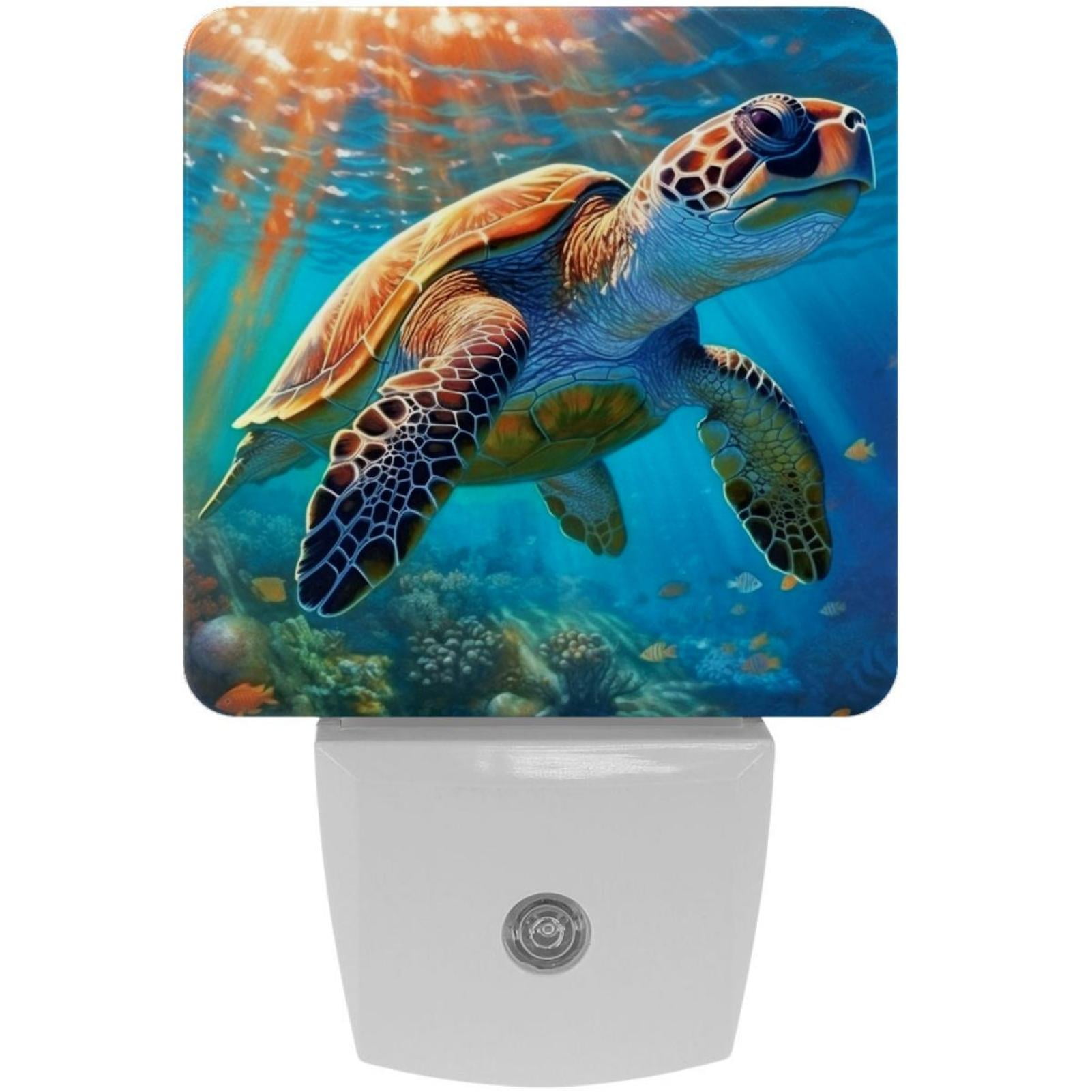 Sea turtle LED Square Night Lights - Elegant and Energy Efficient ...