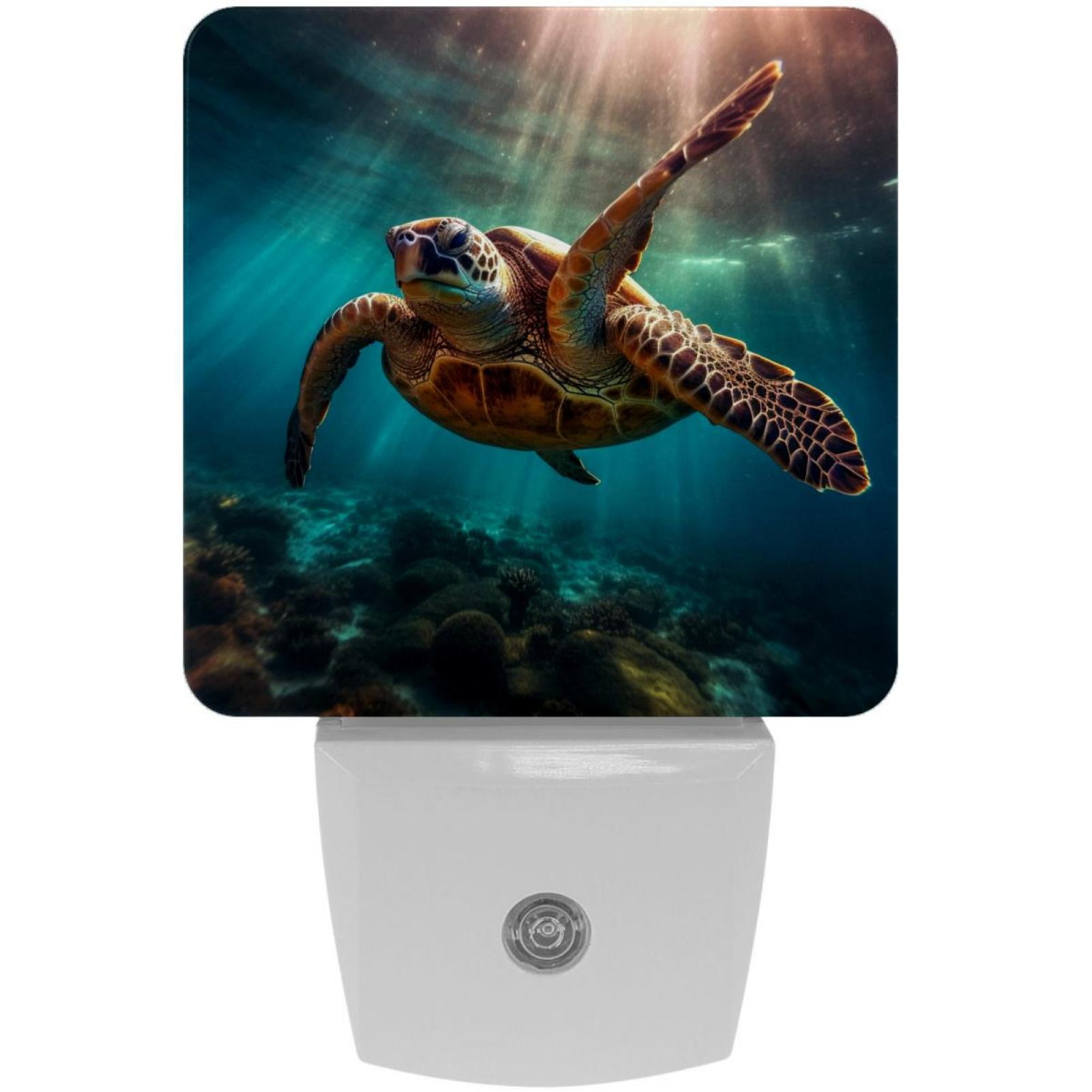 Sea turtle LED Square Night Lights - Energy Efficient and Contemporary ...