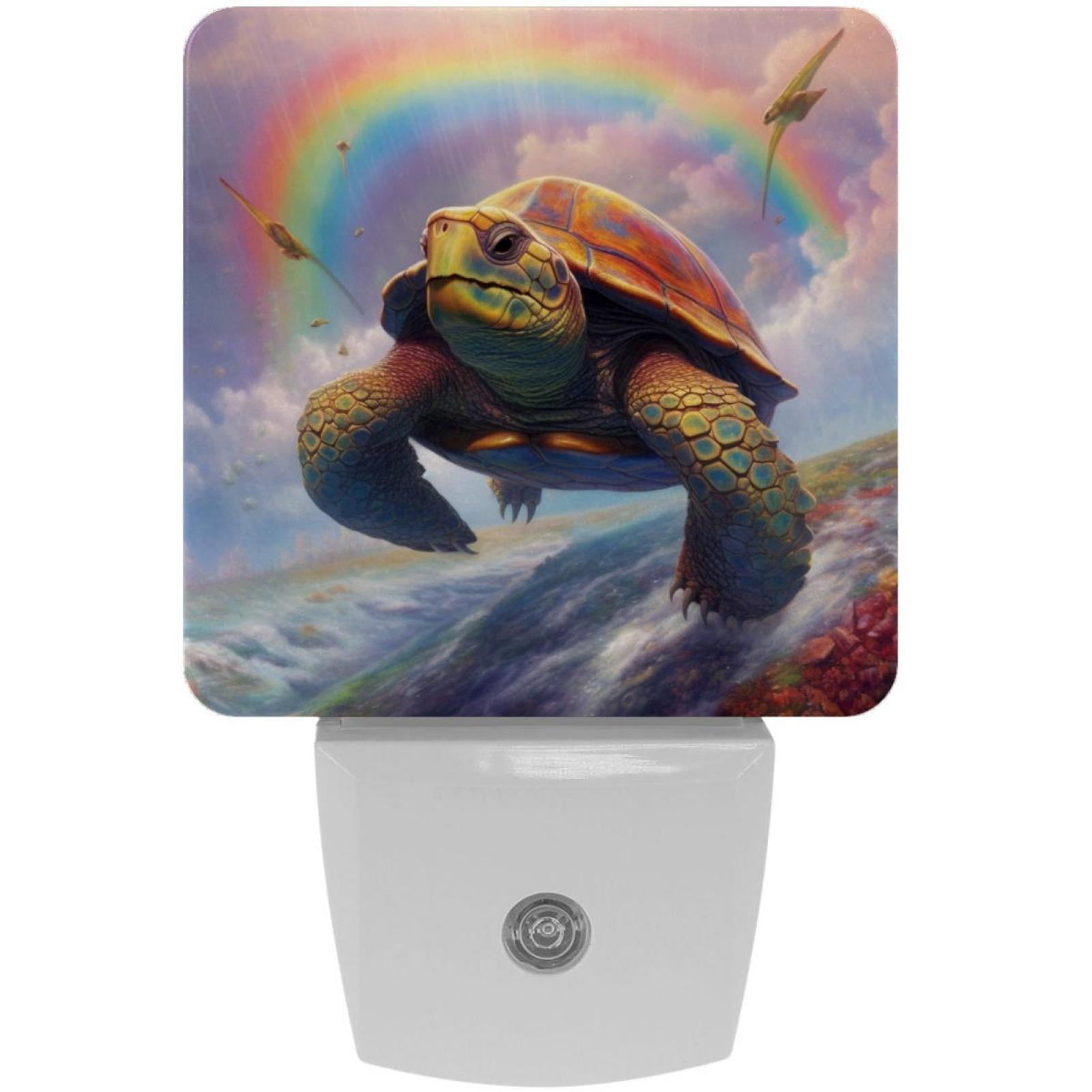 Sea turtle LED Square Night Lights - Energy Efficient & Elegant ...
