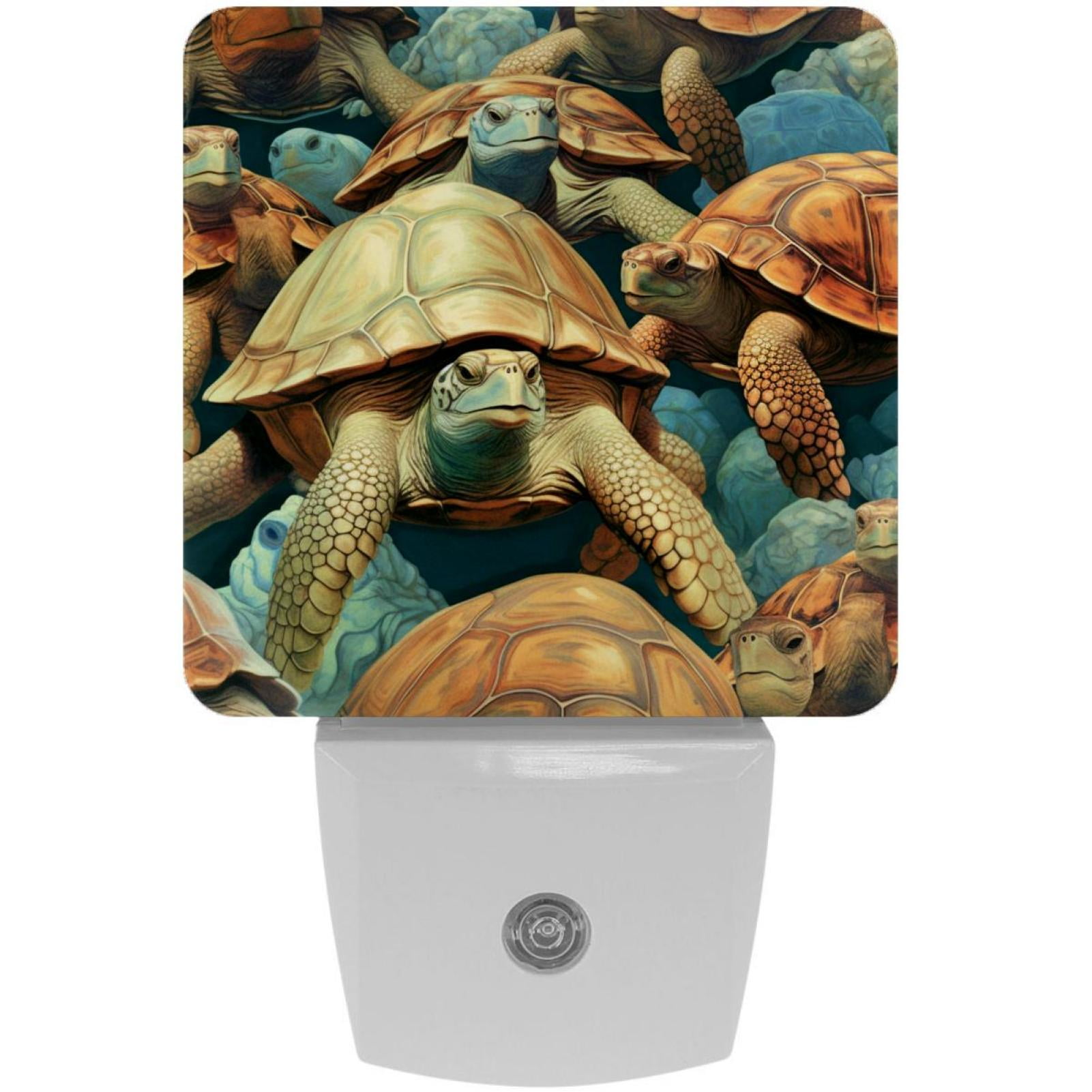 Sea turtle LED Square Night Lights - Energy Efficient and Stylish Decor ...