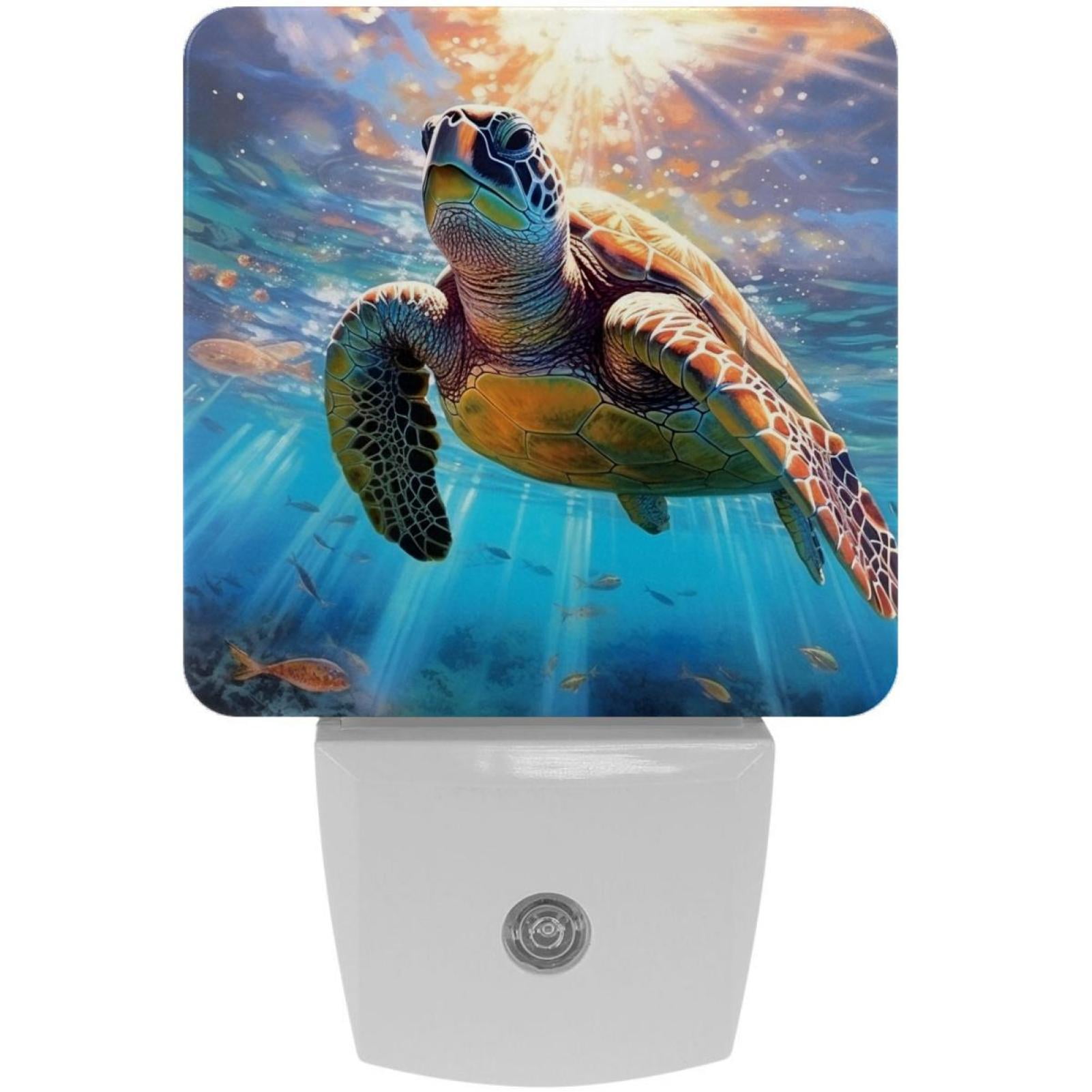 Sea turtle LED Square Night Lights - Energy Efficient and Stylish ...