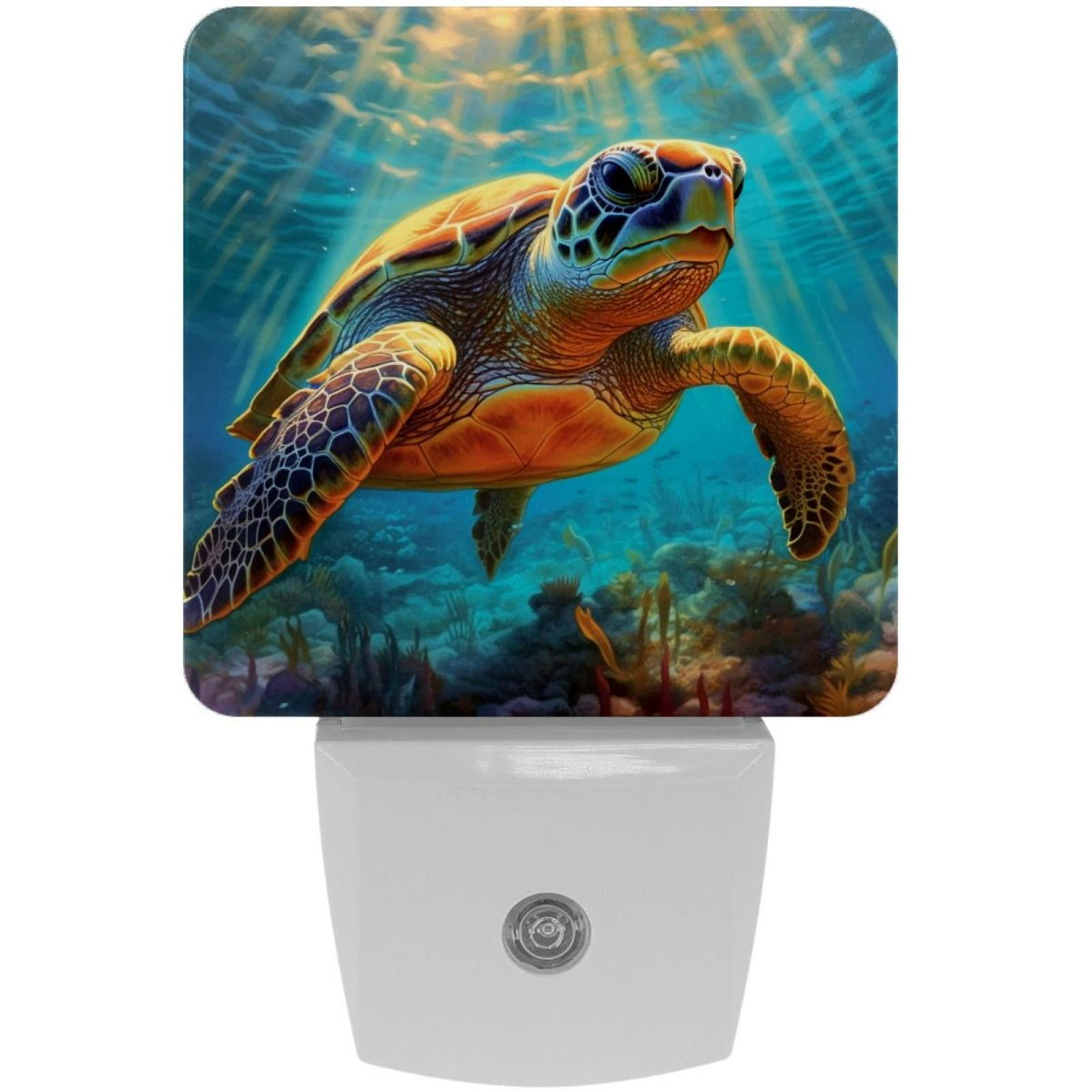 Sea turtle LED Square Night Lights - Energy Efficient and Stylish ...