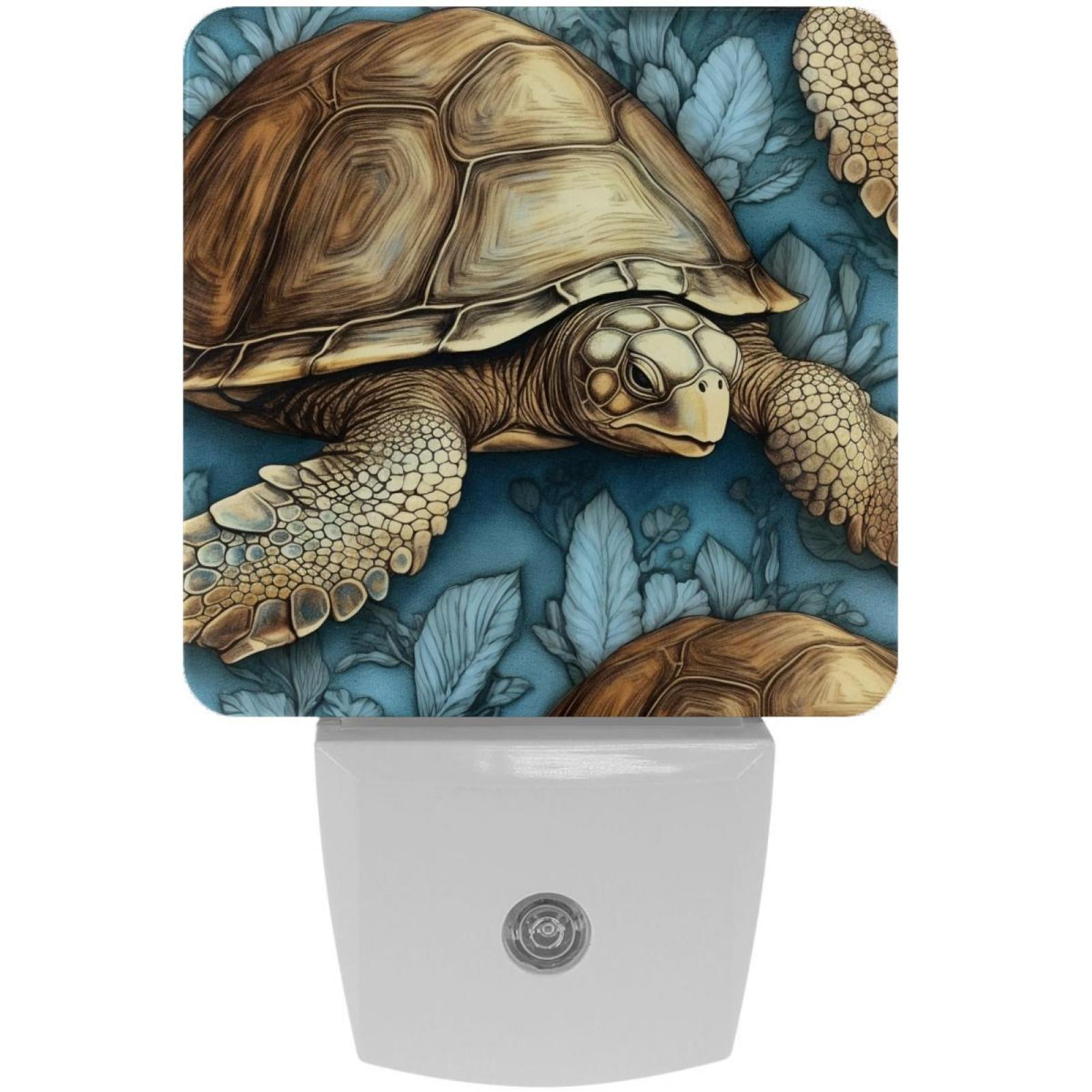 Sea turtle LED Square Night Lights - Energy Efficient and Stylish ...