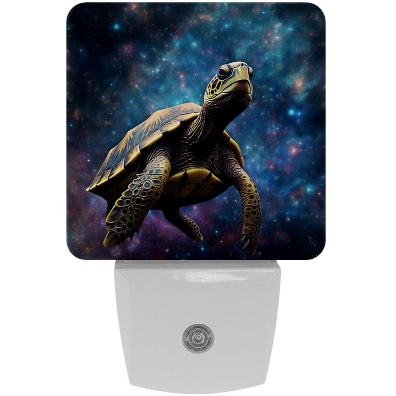 Sea turtle LED Square Night Lights- Energy Efficient and Stylish ...