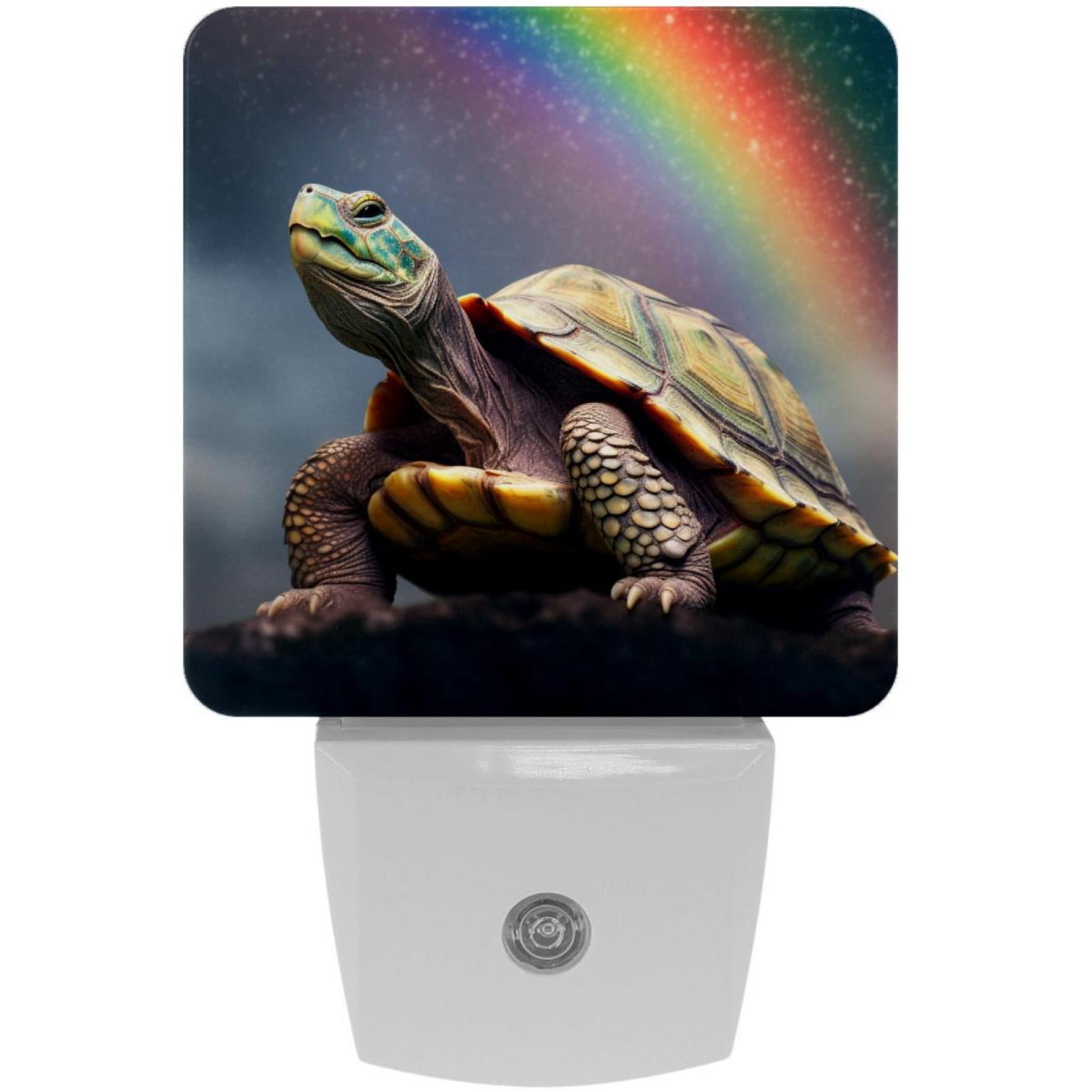 Sea turtle LED Square Night Lights - Illuminating Your Space with Style ...