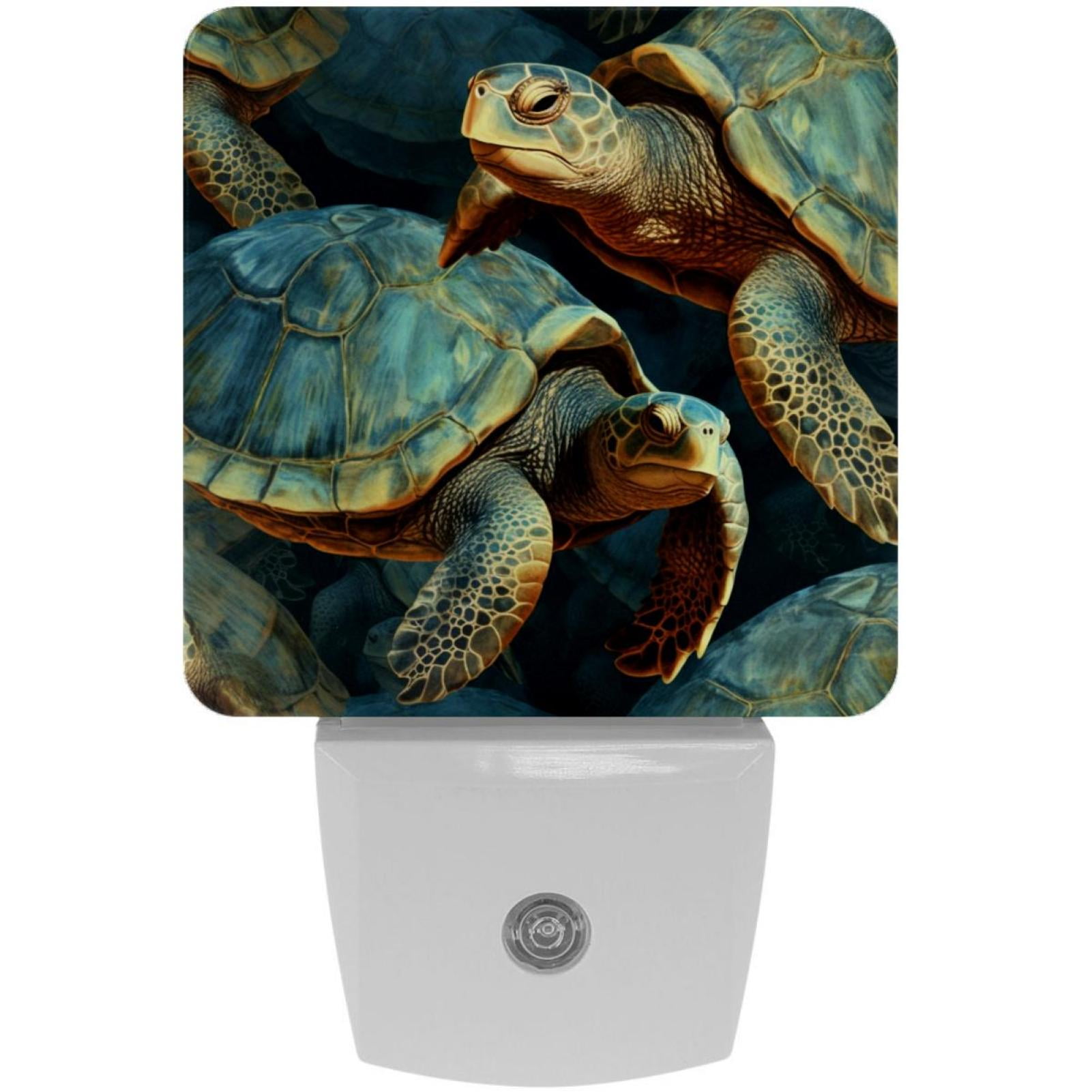 Sea turtle LED Square Night Lights: Innovative Illumination for a ...
