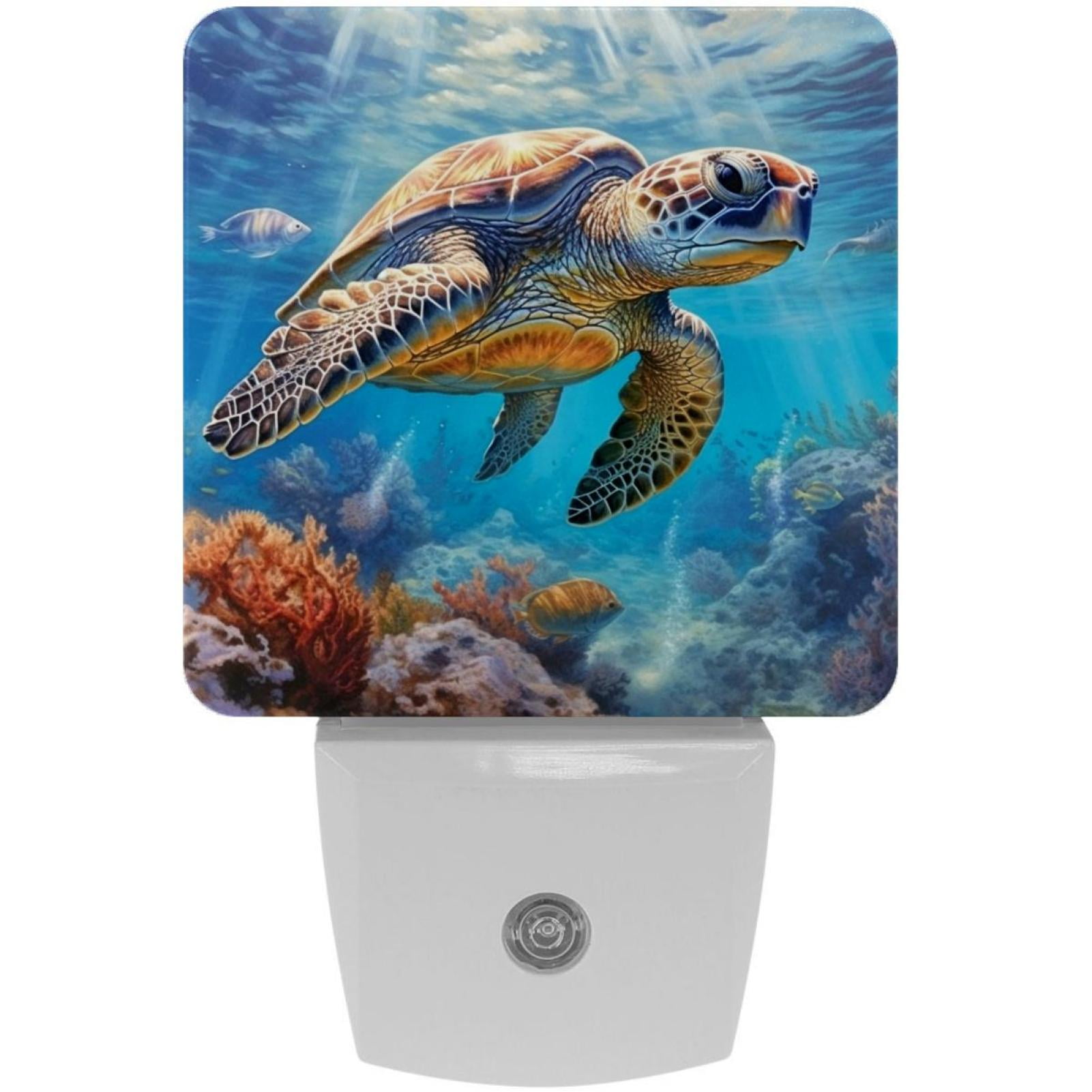 Sea turtle LED Square Night Lights - Small and Bright Illumination for ...