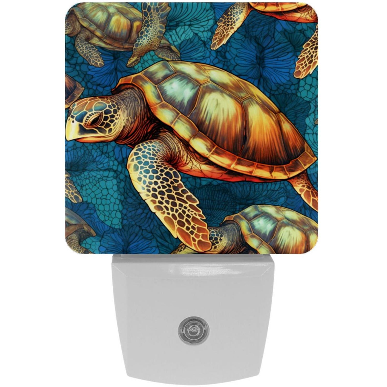 Sea turtle LED Square Night Lights - Small and Stylish Energy-Saving ...