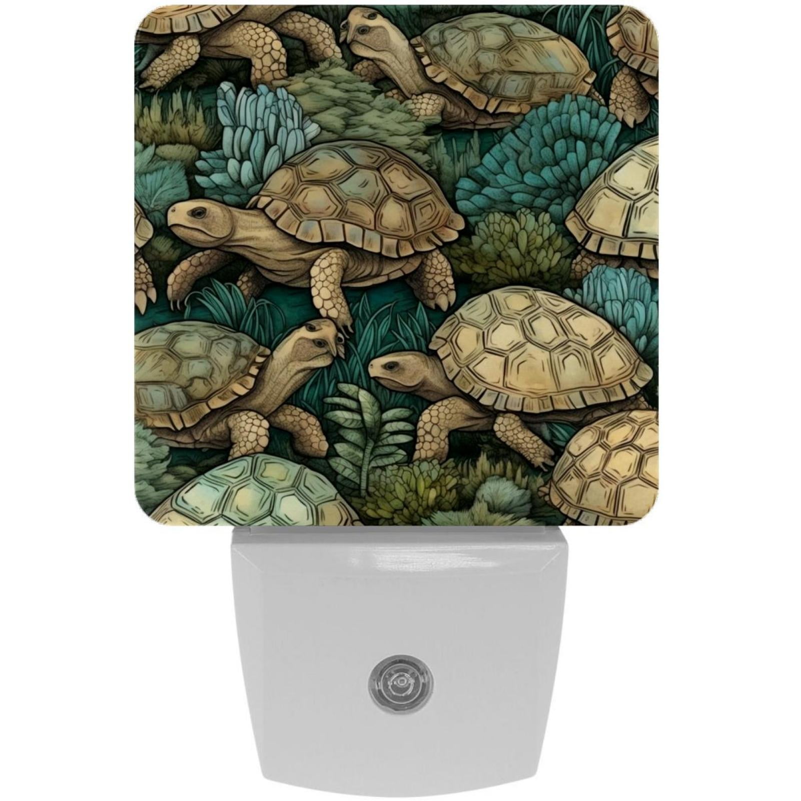 Sea turtle LED Square Night Lights - Stylish and Convenient ...