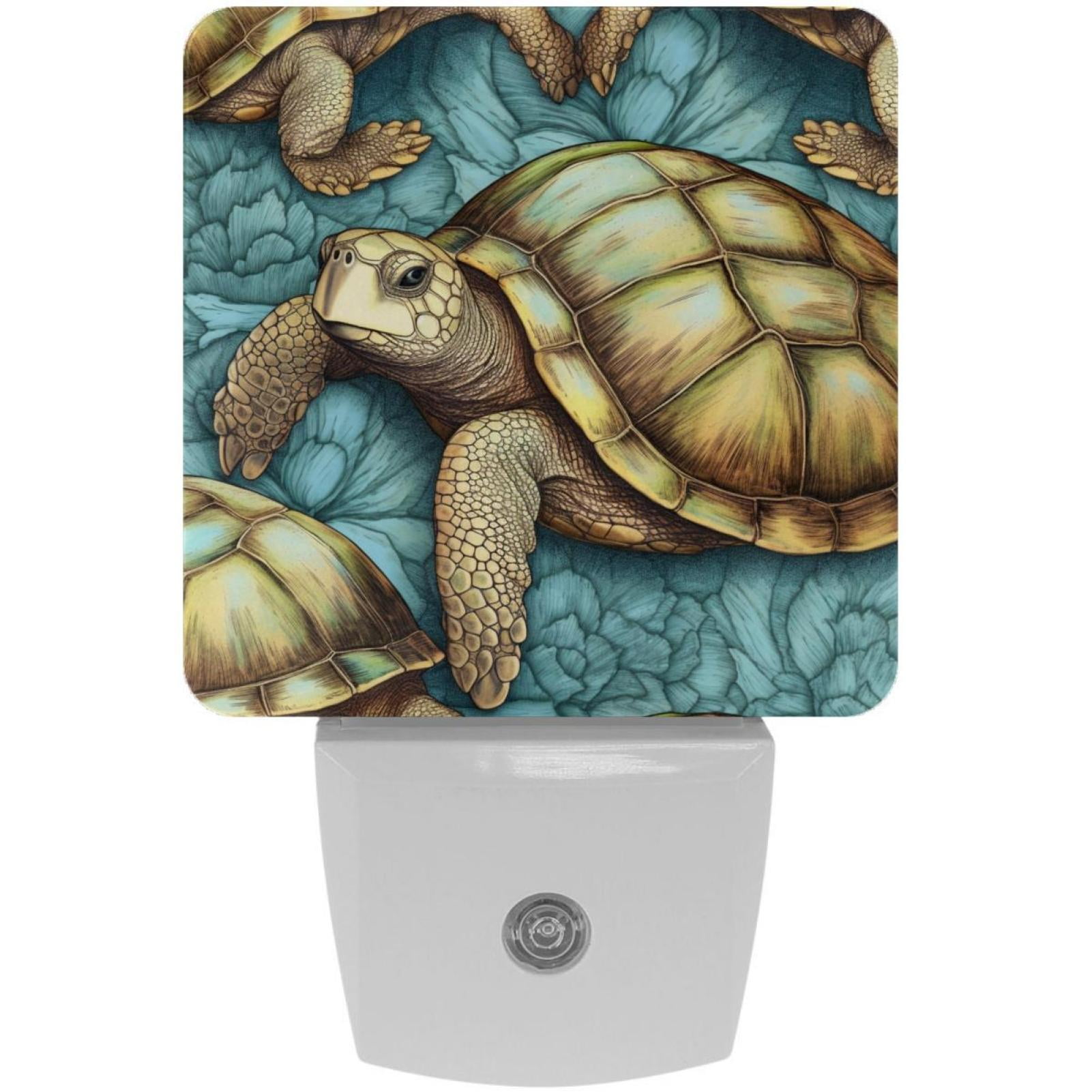 Sea turtle LED Square Night Lights - Stylish and Convenient ...