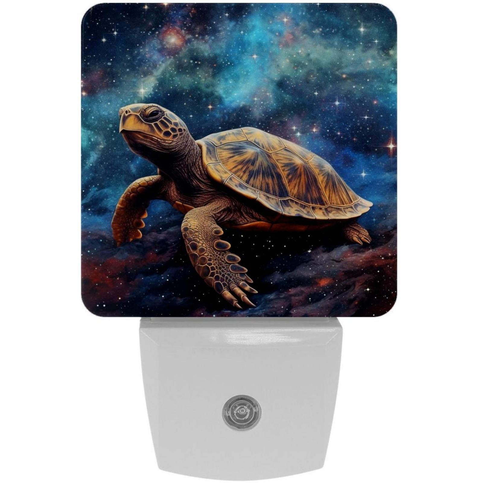 Sea turtle LED Square Night Lights - Stylish and Functional Nightlight ...