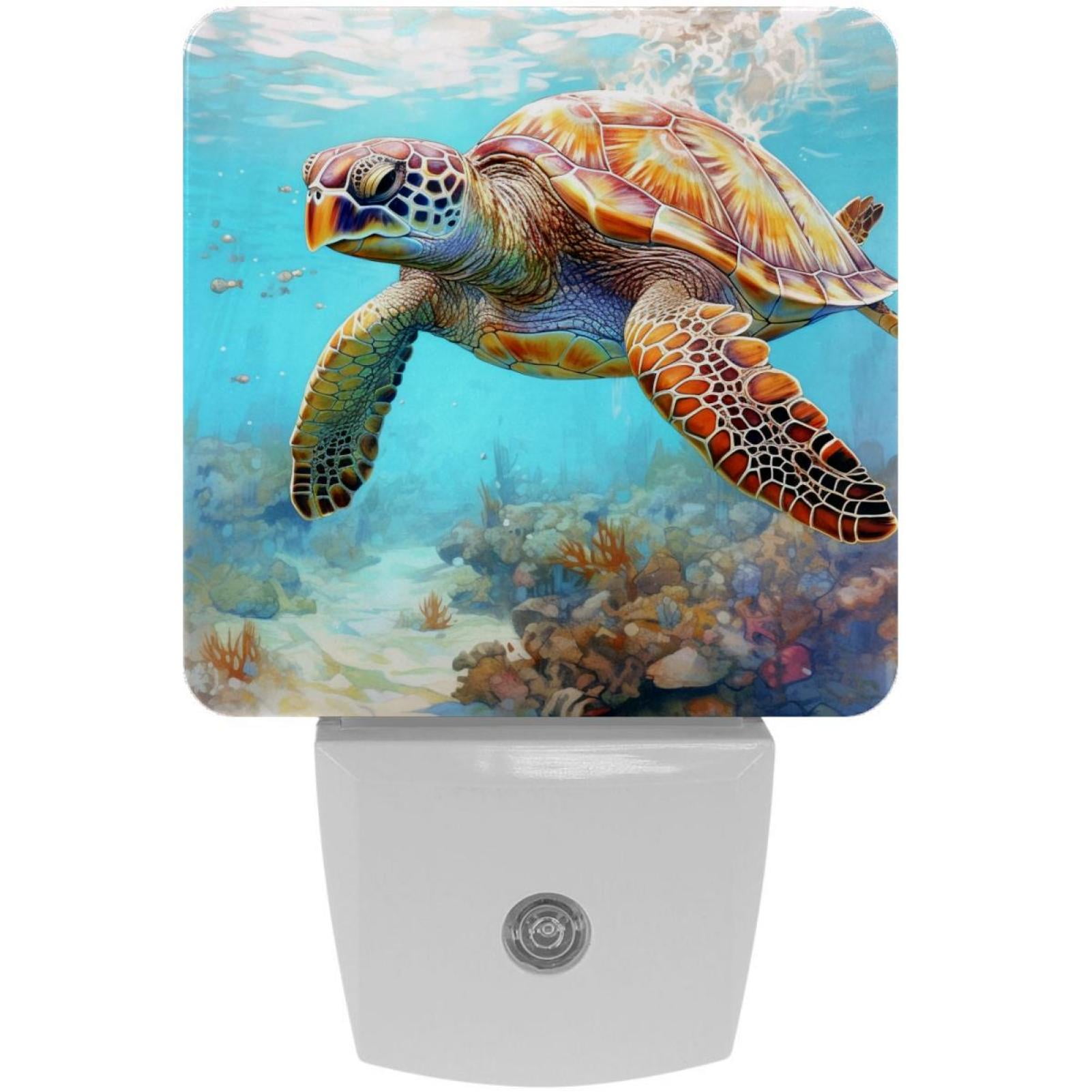 Sea turtle Square LED Night Lights - Small, Portable Lighting for Any ...