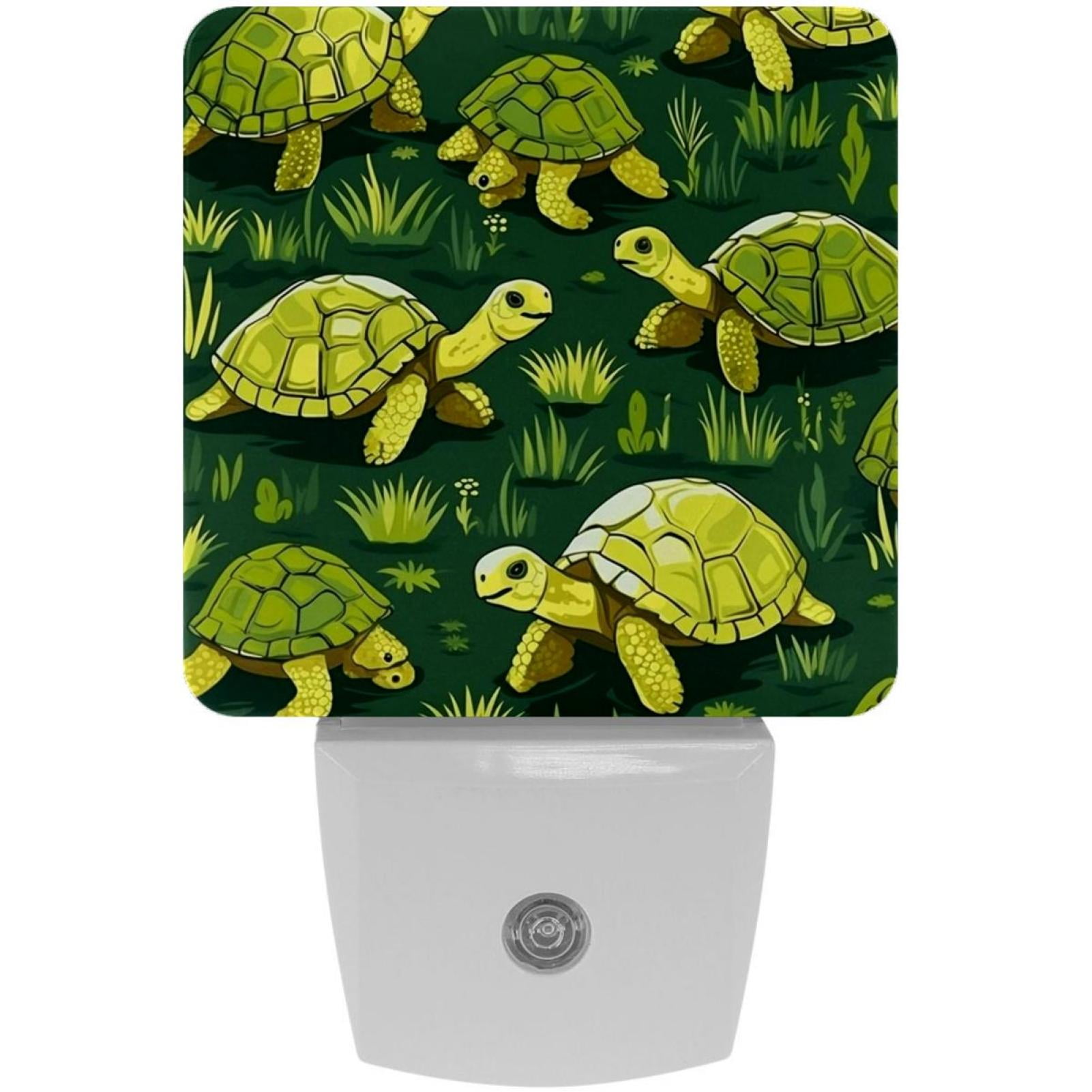 Sea turtles LED Square Night Light - Small and Bright Square-shaped LED ...