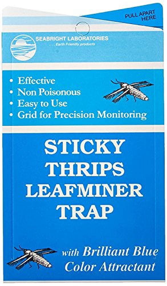 SeaBright Sticky Thrips Leafminer Traps (15 pcs) and Yellow Sticky ...