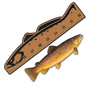 Fish Measuring Board