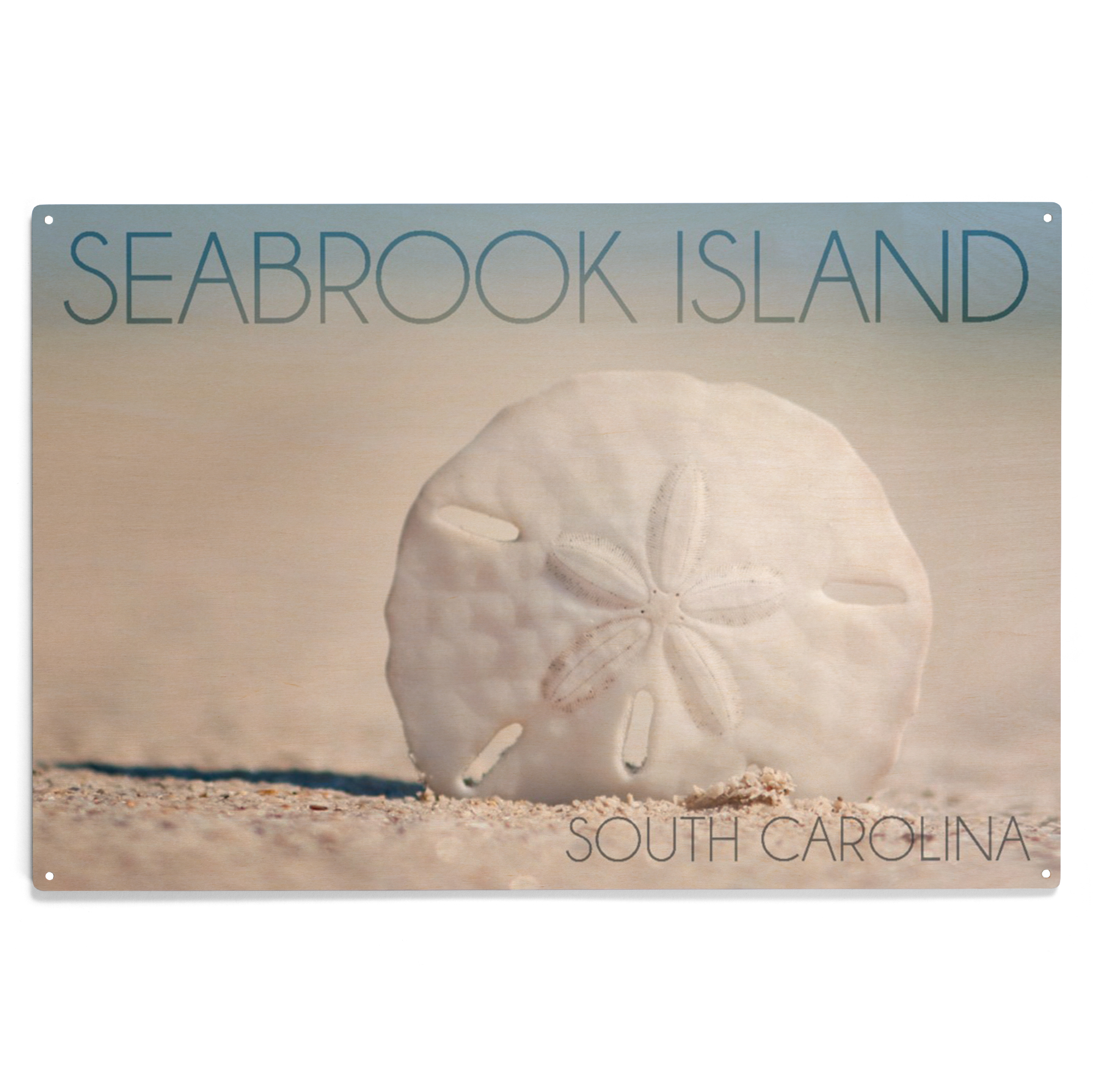 Seabrook Island, South Carolina, Sand Dollar and Beach Birch Wood Wall ...