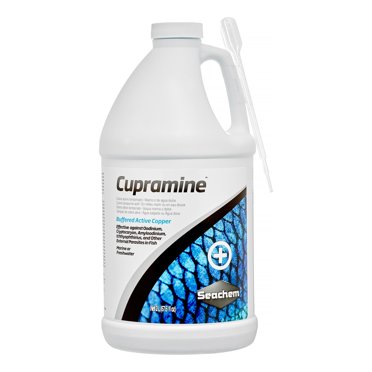 Kordon Fish Medicine - Methylene Blue Aquatic Disease Prevention ...