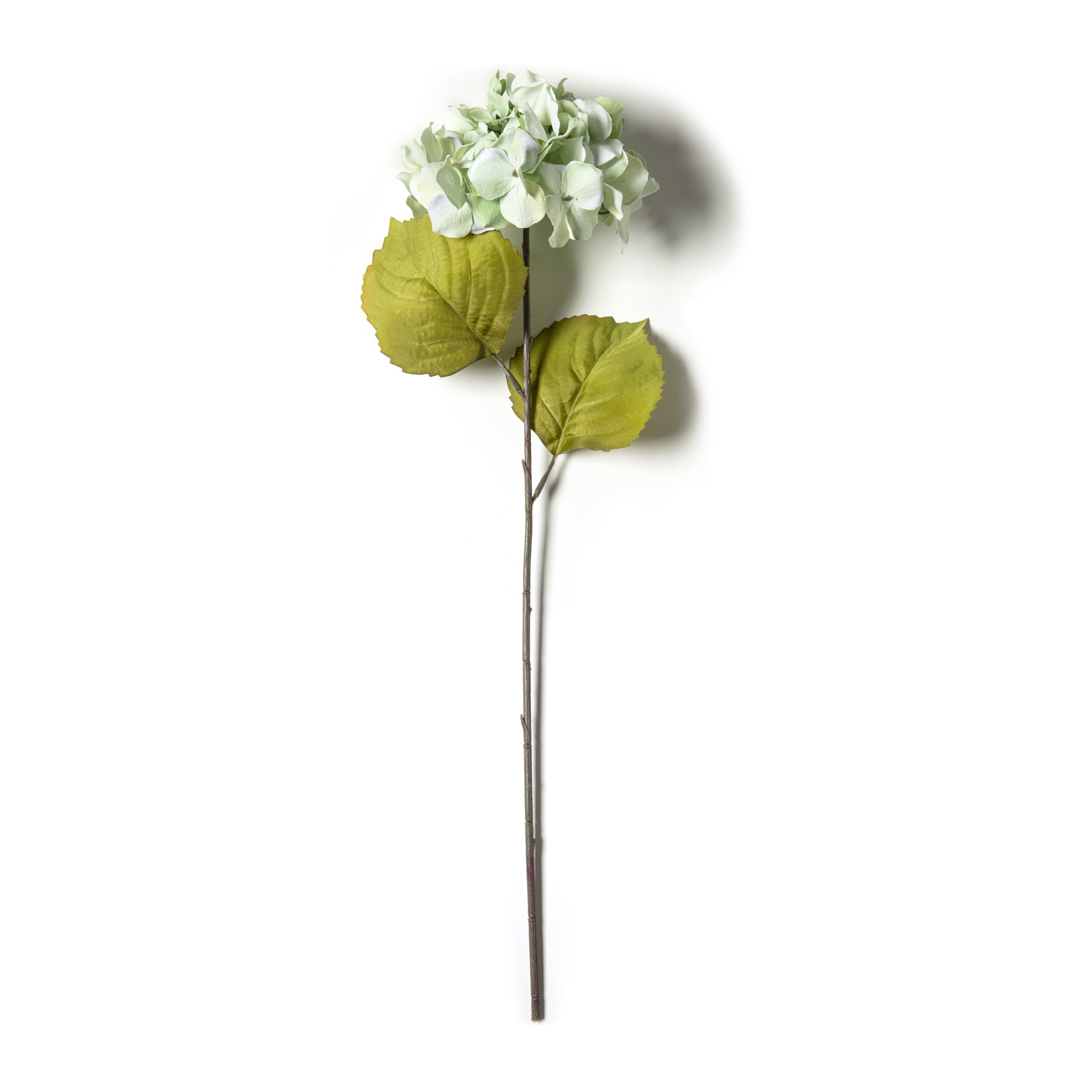 Seafoam Green Hydrangea Stem by Ashland - Walmart.com